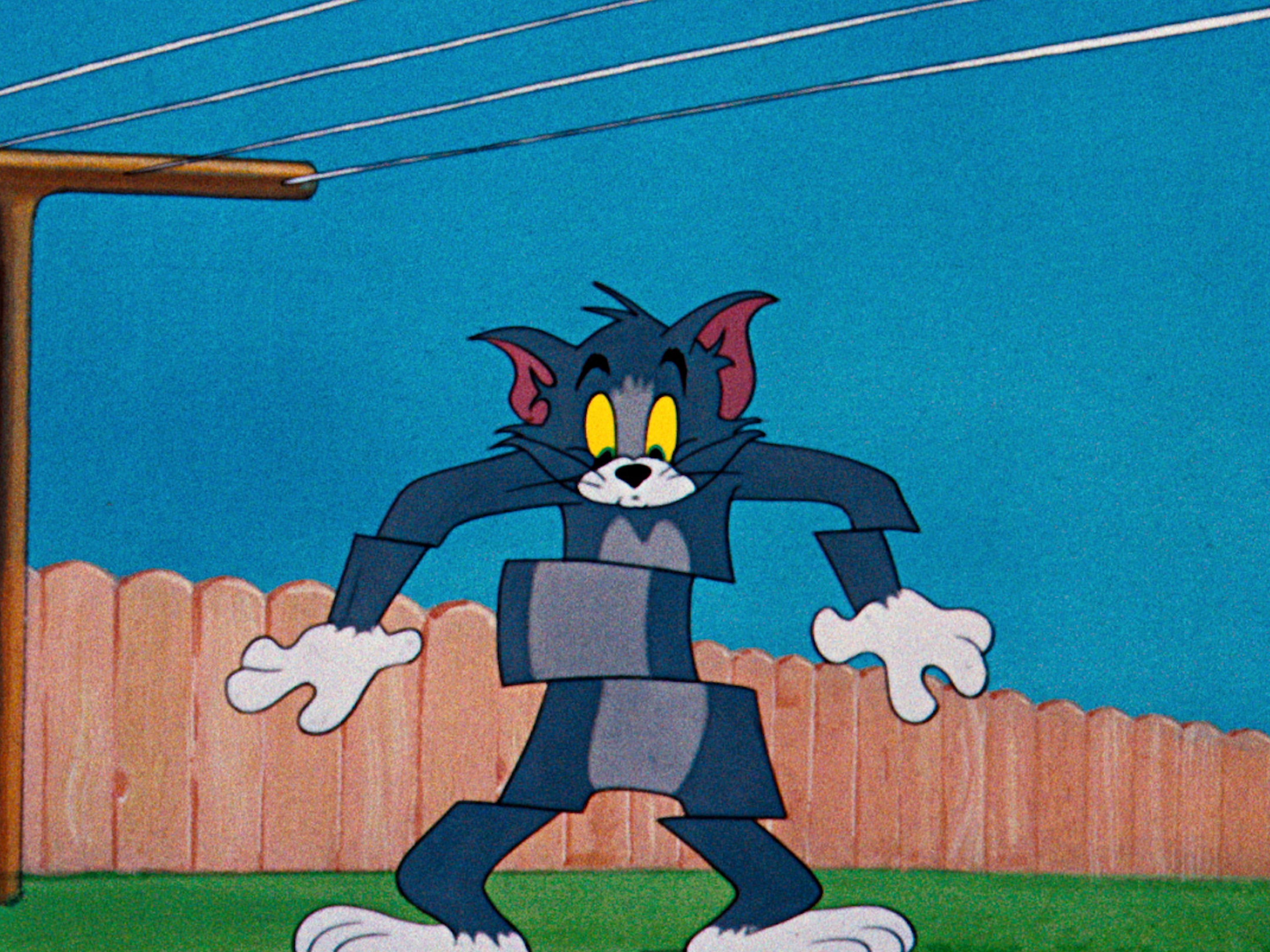 Prime Video: Tom and Jerry - Season 2
