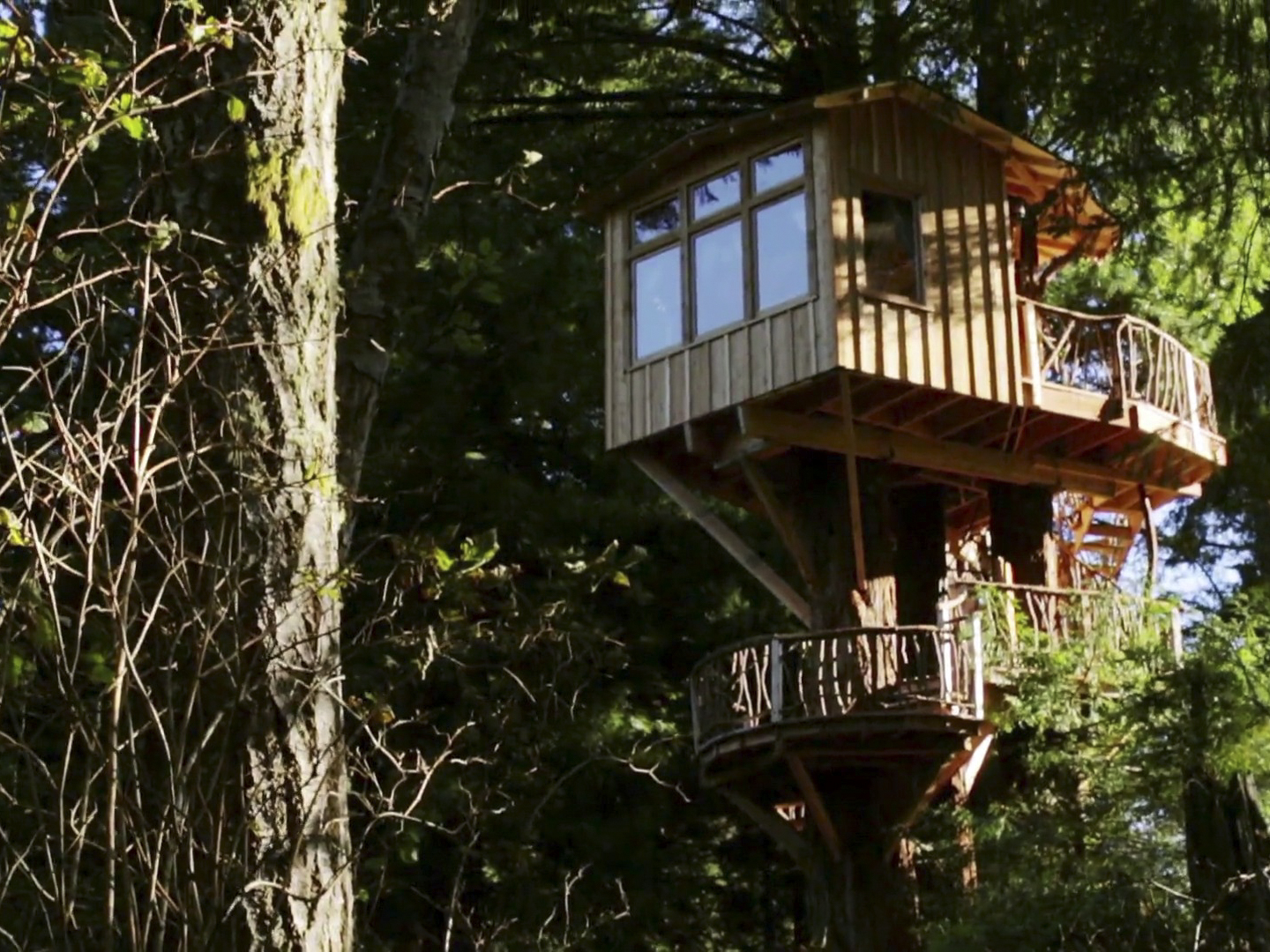 Prime Video: Treehouse Masters - Season 2