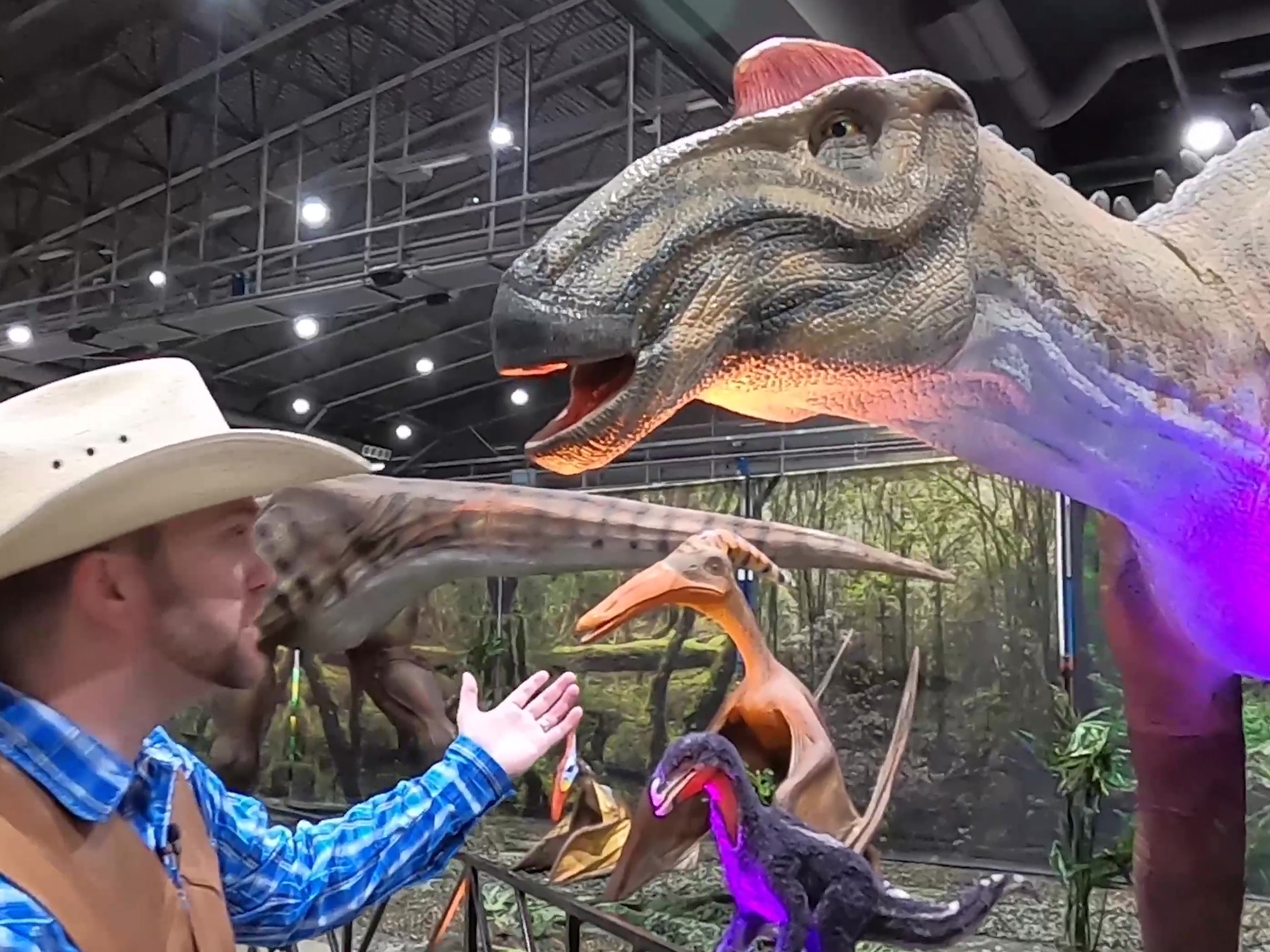 Prime Video: Cowboy Jack