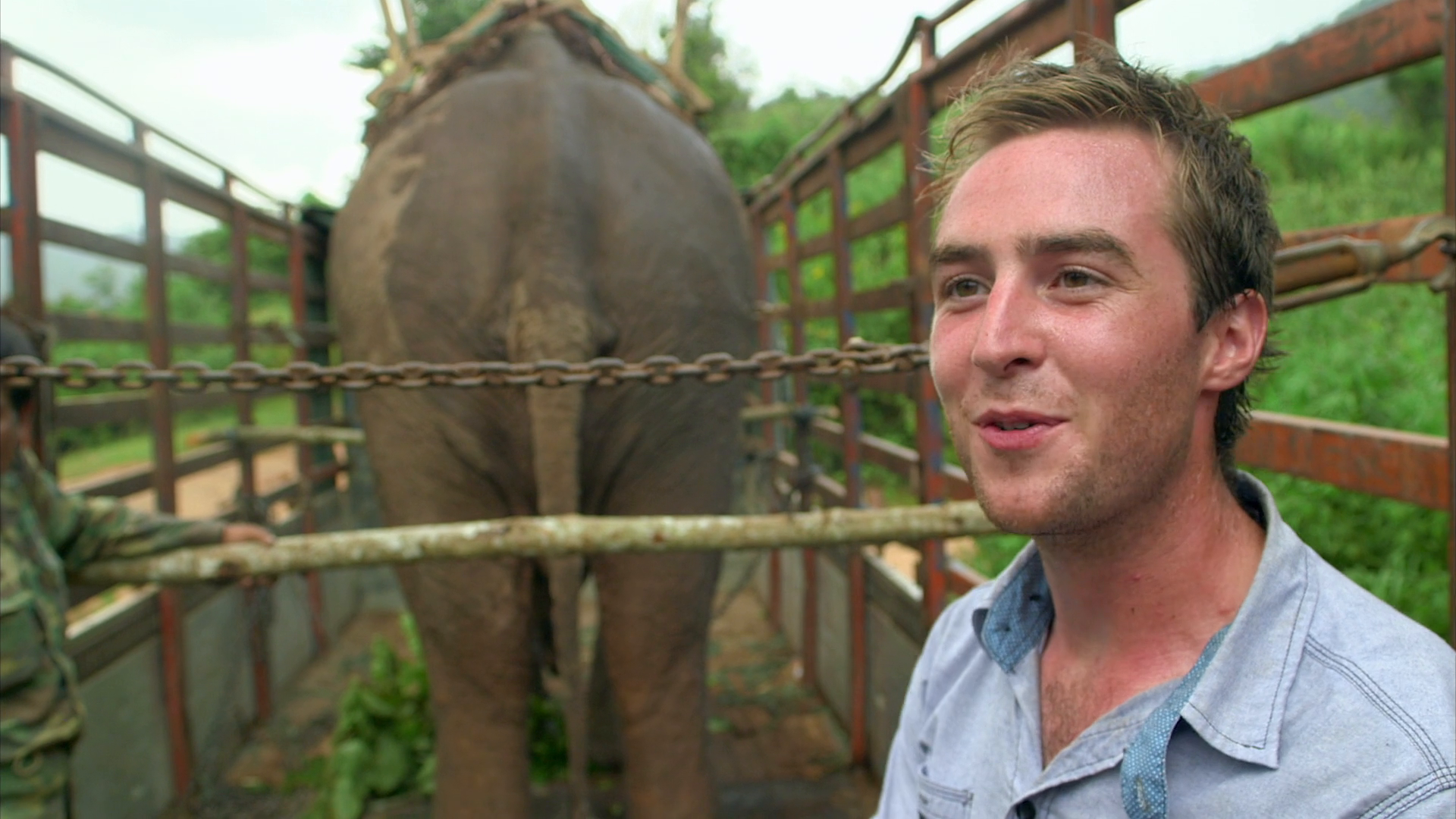 Prime Video: Operation Wild