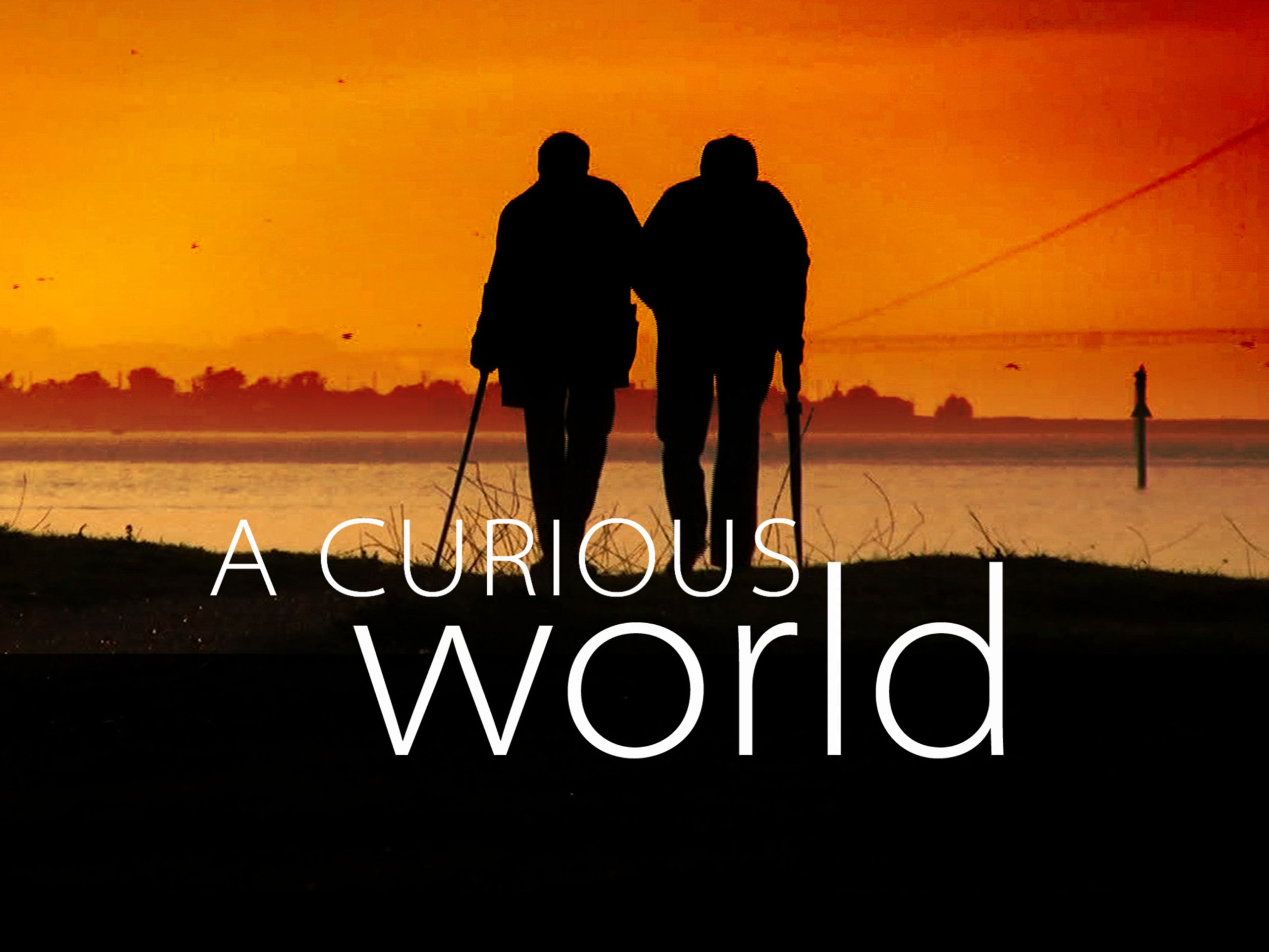 Prime Video: A Curious World - Season 1