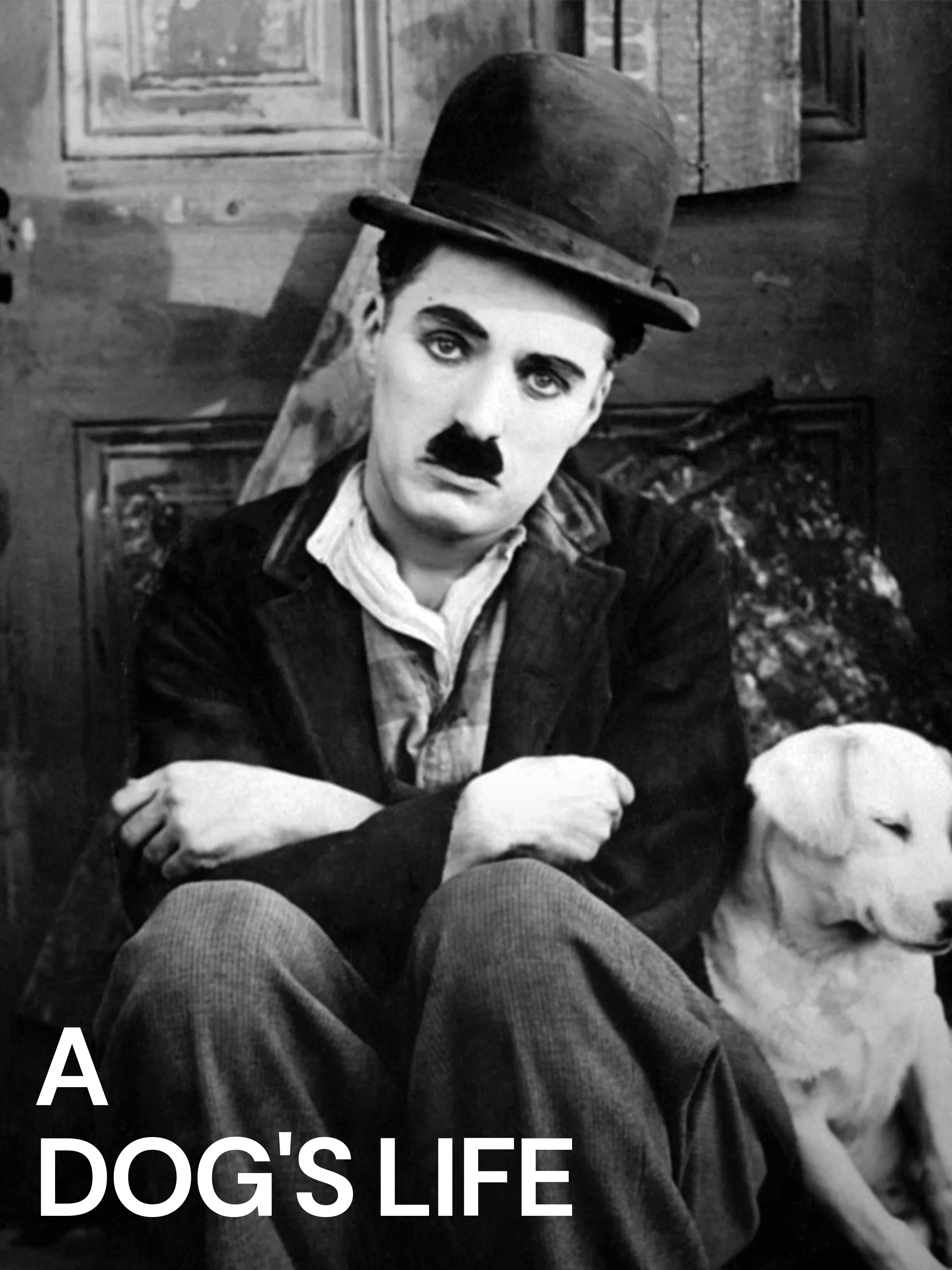 Prime Video: A Dog’s Life