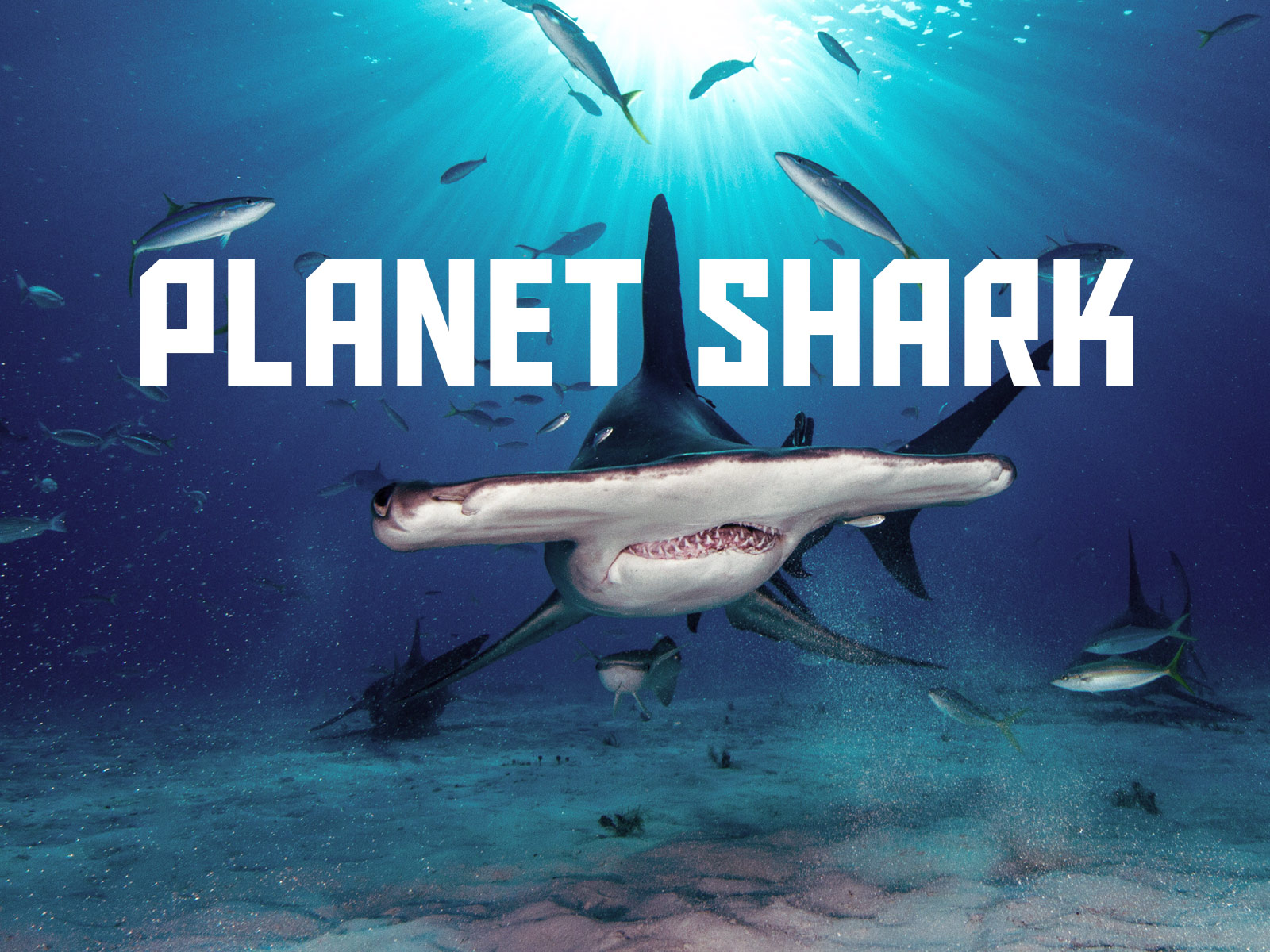 Prime Video: Planet Shark