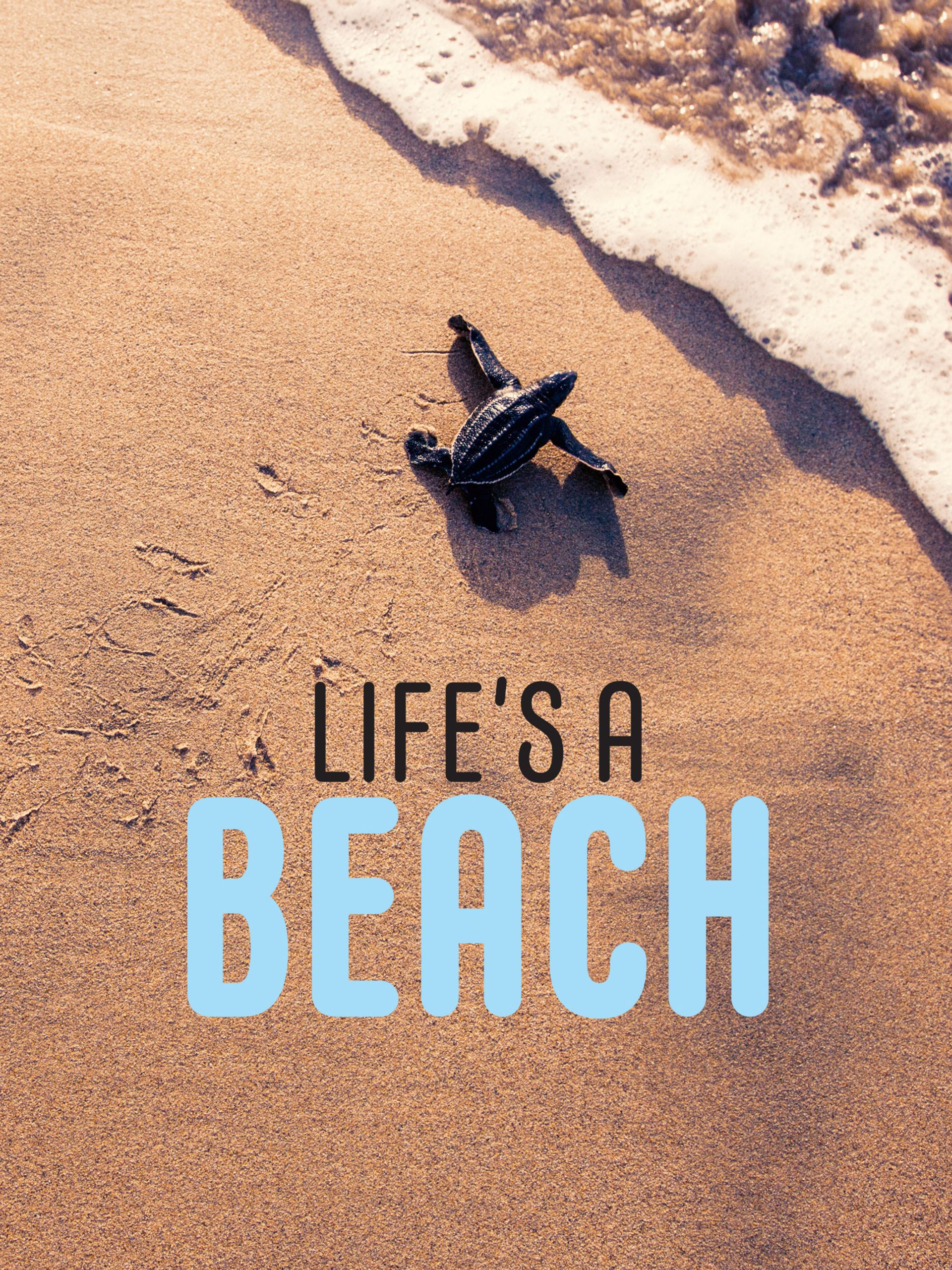 Prime Video: Life’s a Beach