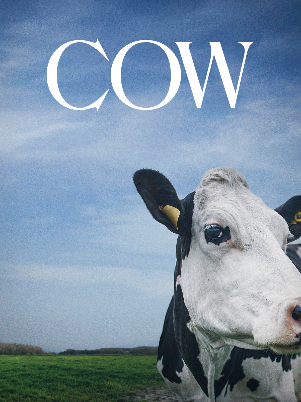 Prime Video: Cow