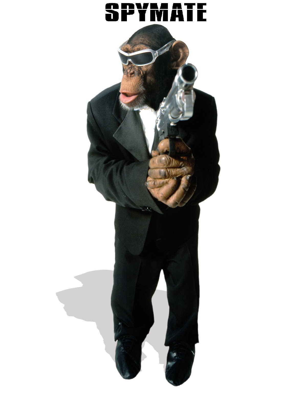 Prime Video: Spymate