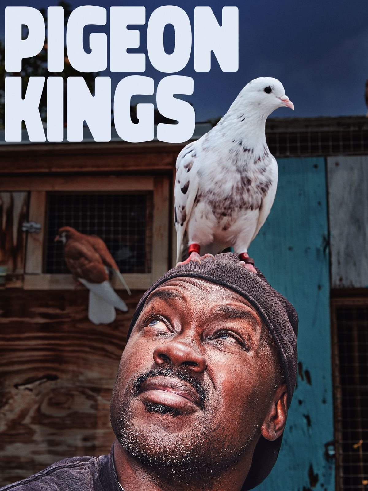 Prime Video: Pigeon Kings