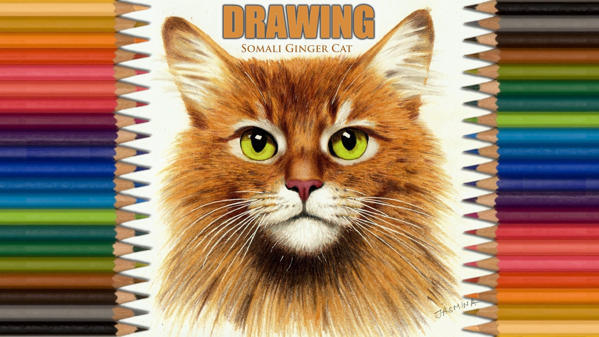 Amazon.de: Clip: Drawing Somali Ginger Cat [OV] ansehen | Prime Video