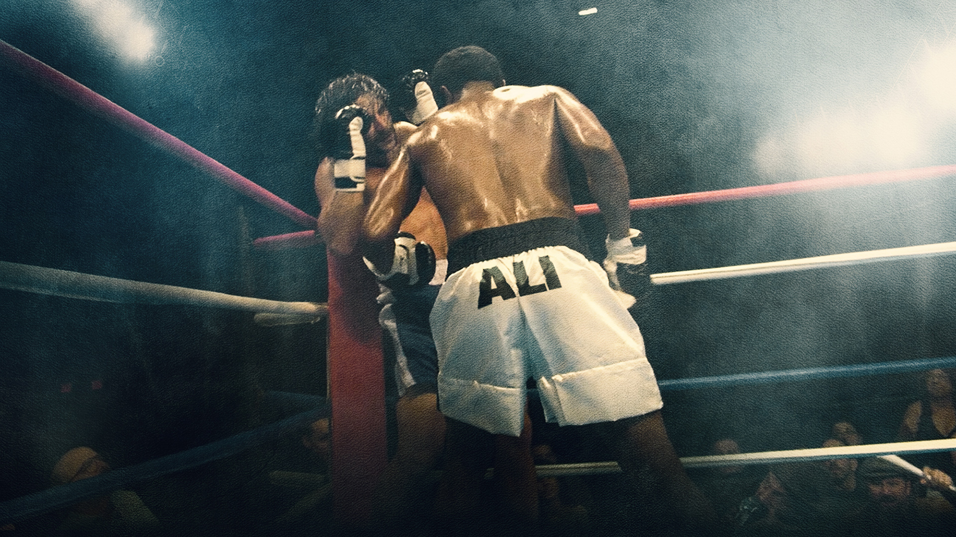 Prime Video: The Brawler