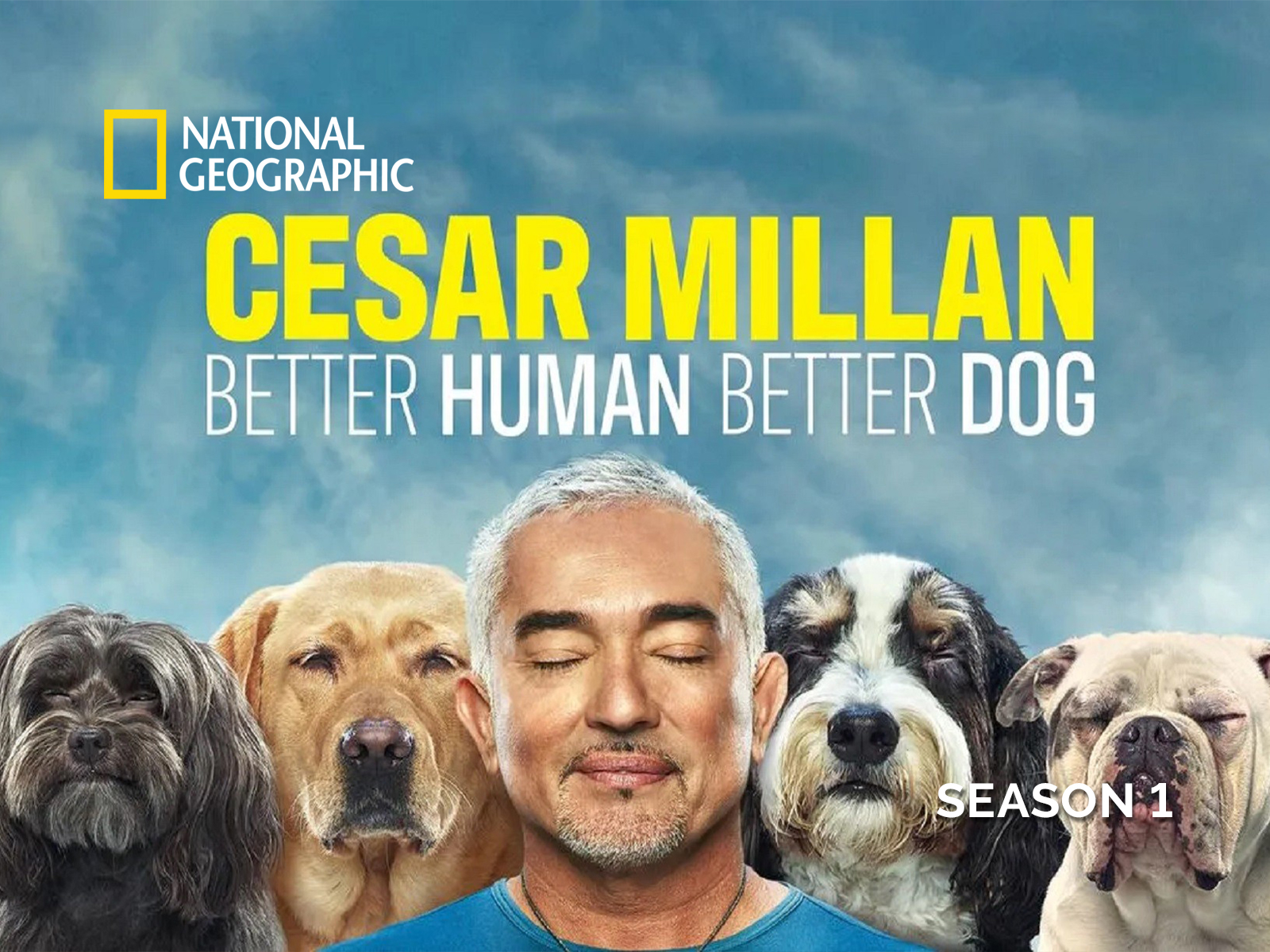 What Breed Of Dog Is On The Cesar Can