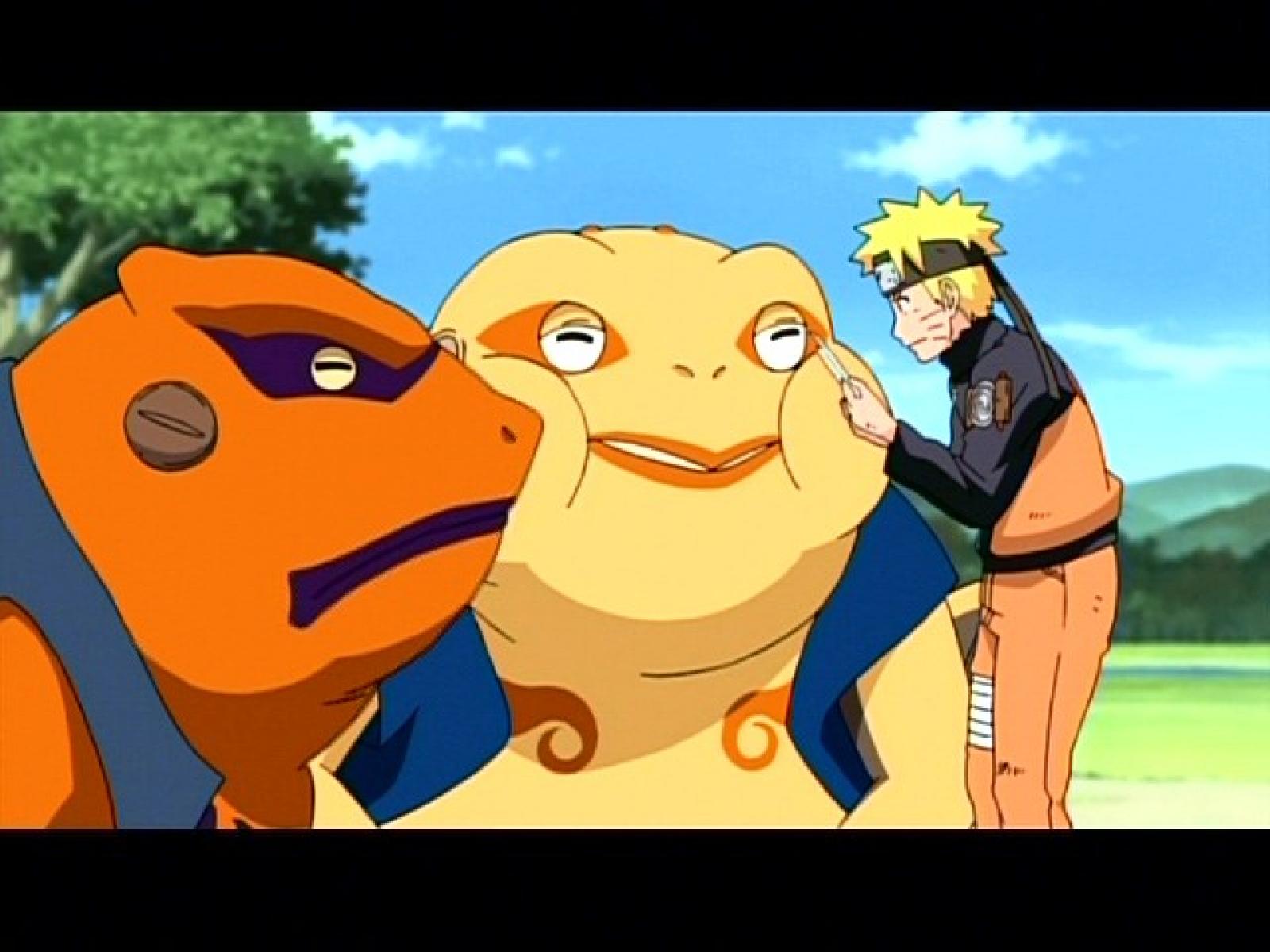 Gamakichi And Gamatatsu Wallpaper