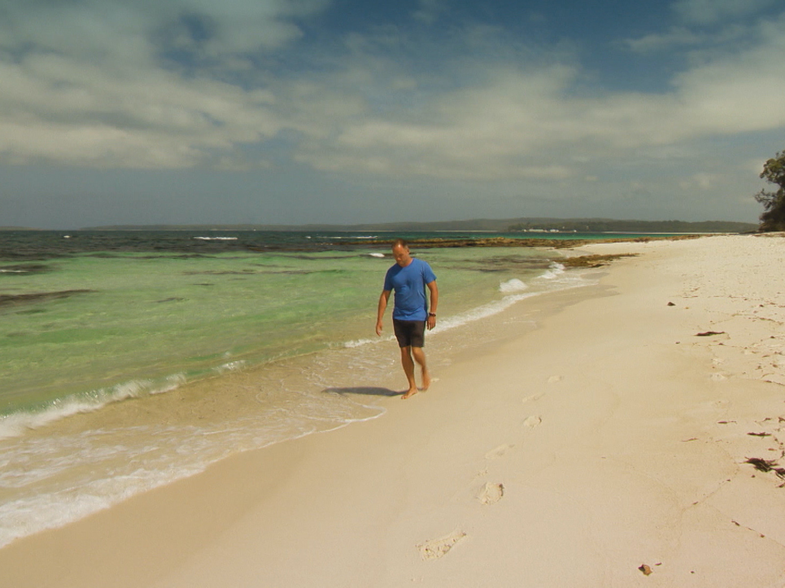 Prime Video: The Travel Bug