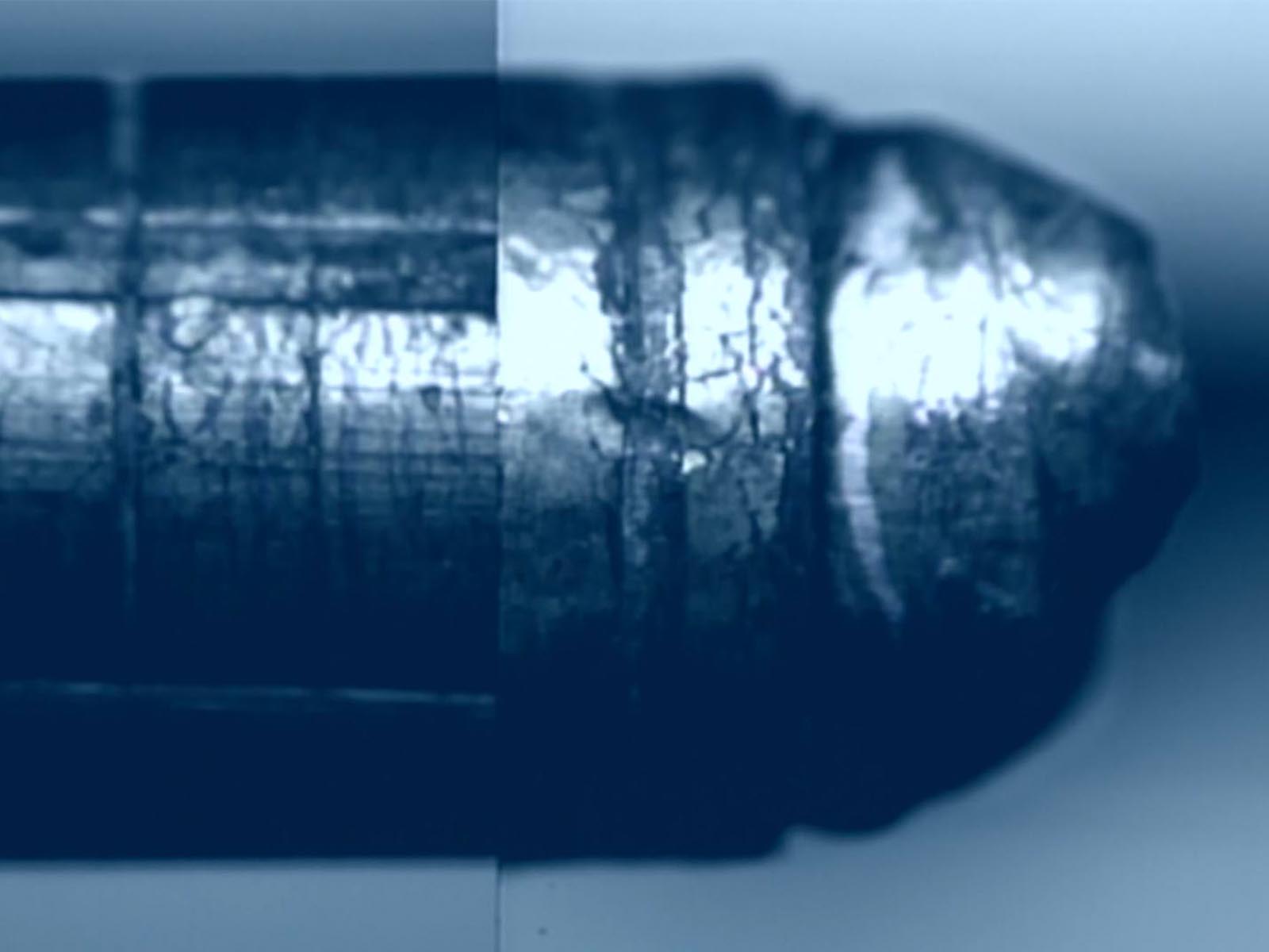 Prime Video: Exhibit A: Secrets of Forensic Science