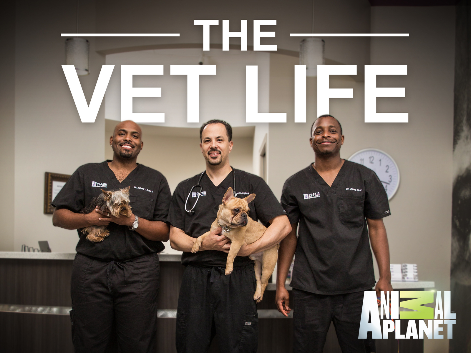 Prime Video: The Vet Life - Season 2