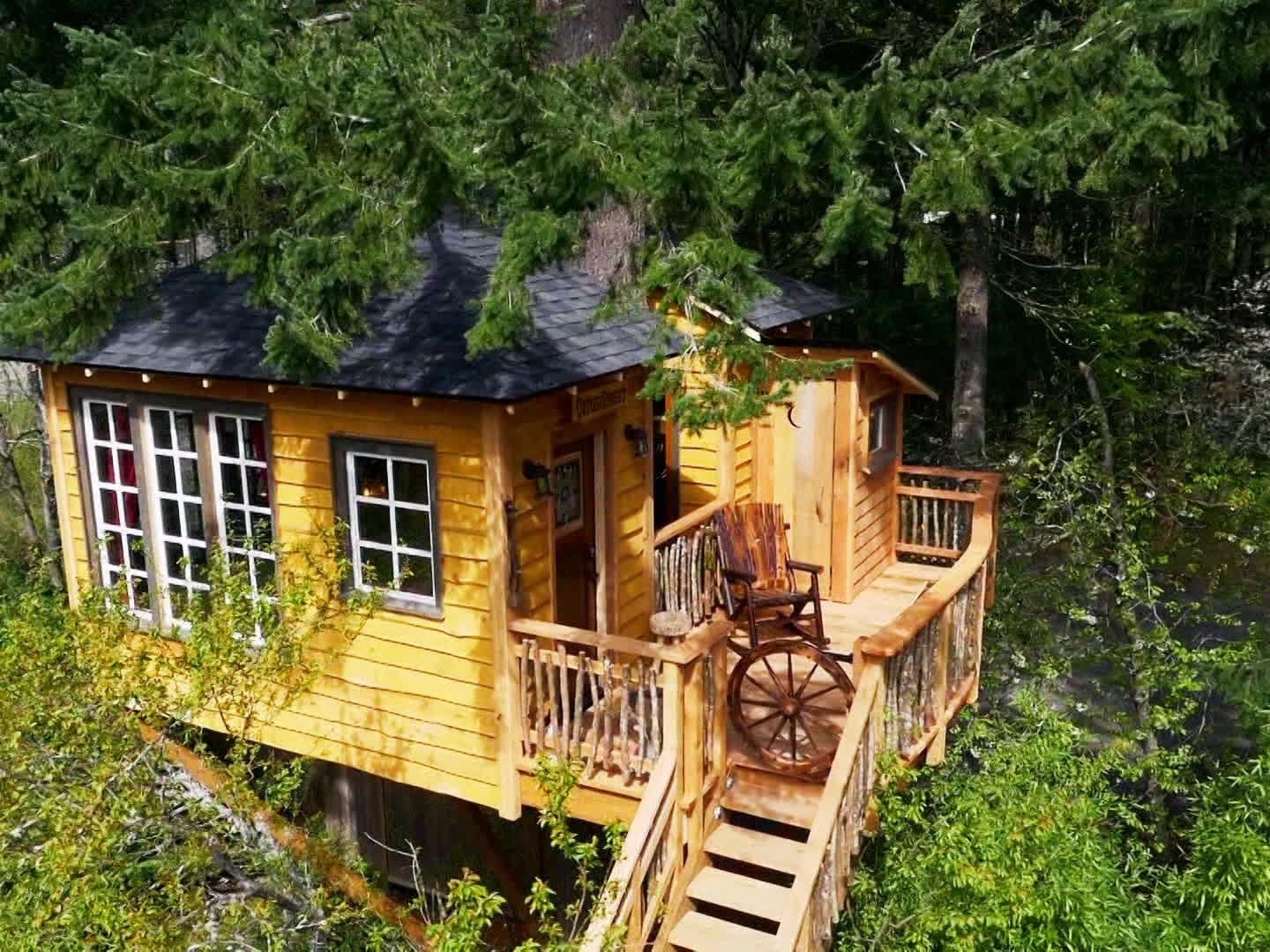 Prime Video: Treehouse Masters - Season 3
