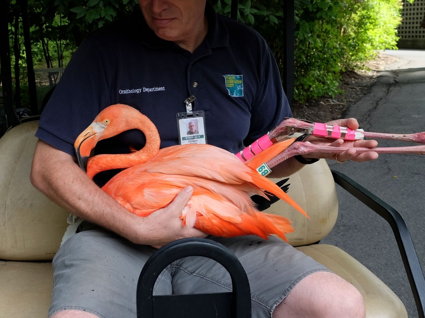 Prime Video: The Zoo - Season 1