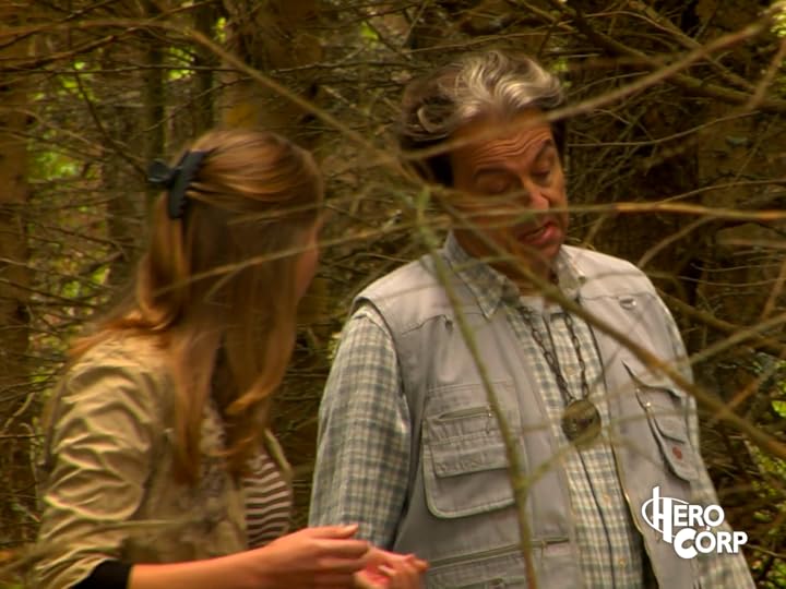 Prime Video: Hero Corp Saison 1