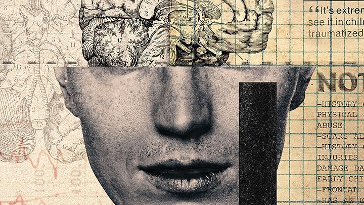 Amazon.com: Crazy, Not Insane : Dorothy Otnow Lewis, Dr. Catherine ...