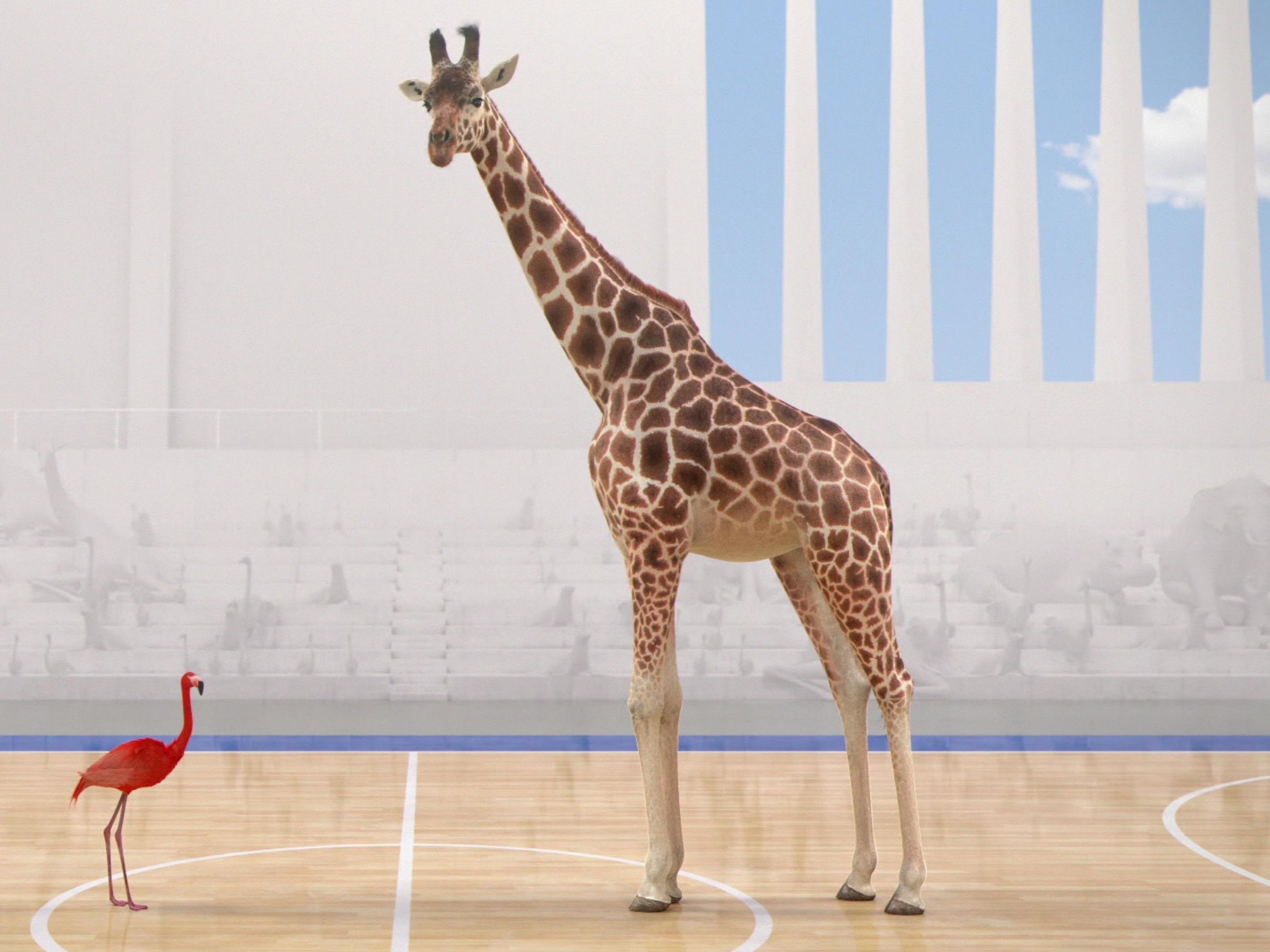 Prime Video: Athleticus Season 1