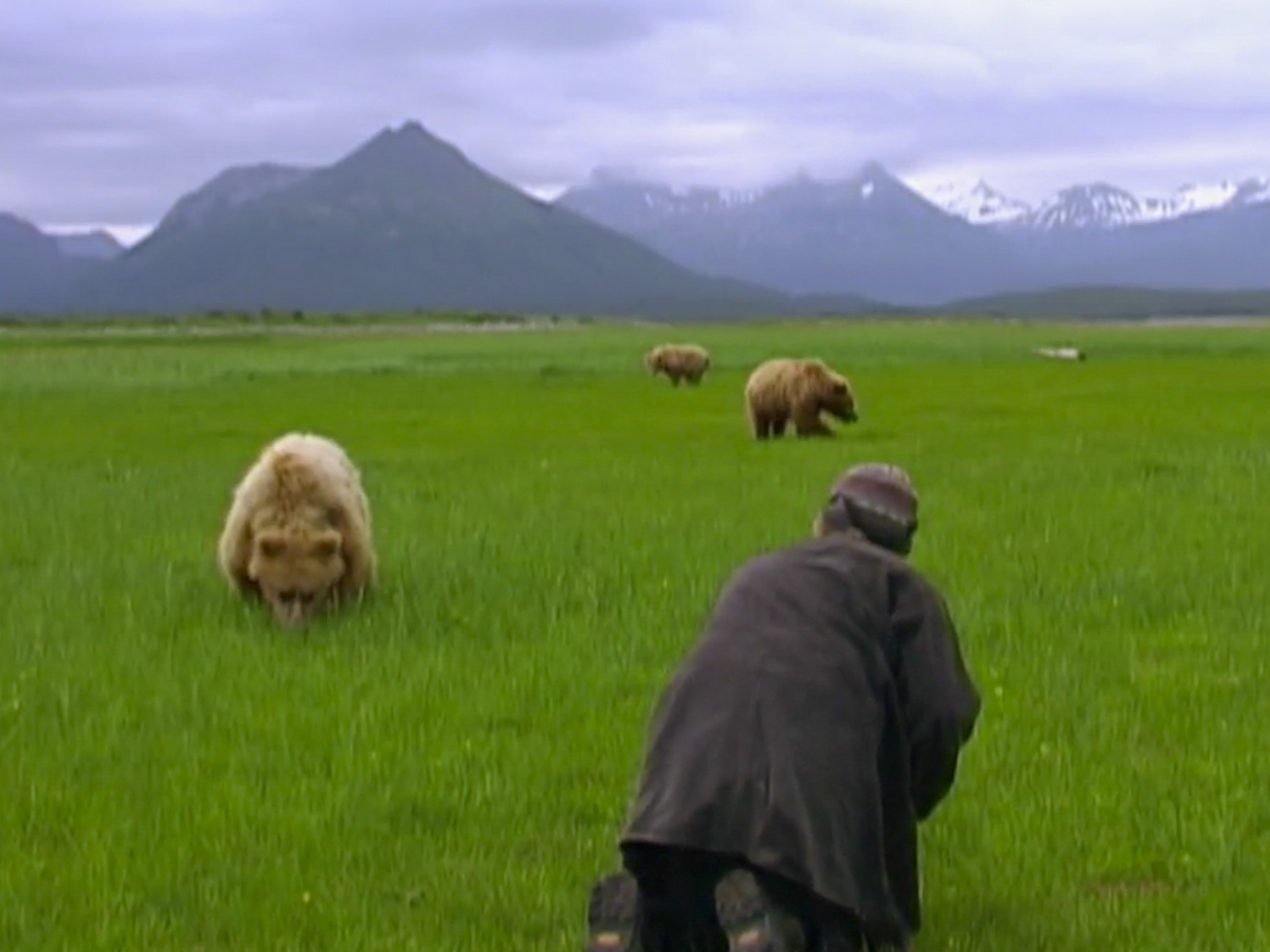 Prime Video: Grizzly Man - Season 1