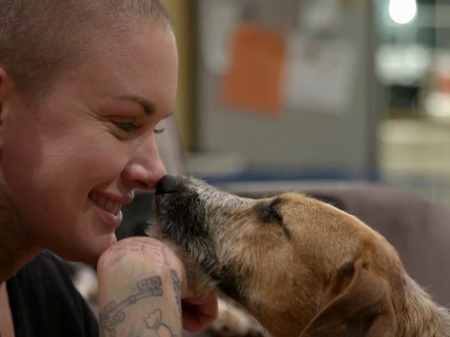 Prime Video: Amanda to the Rescue - Season 1