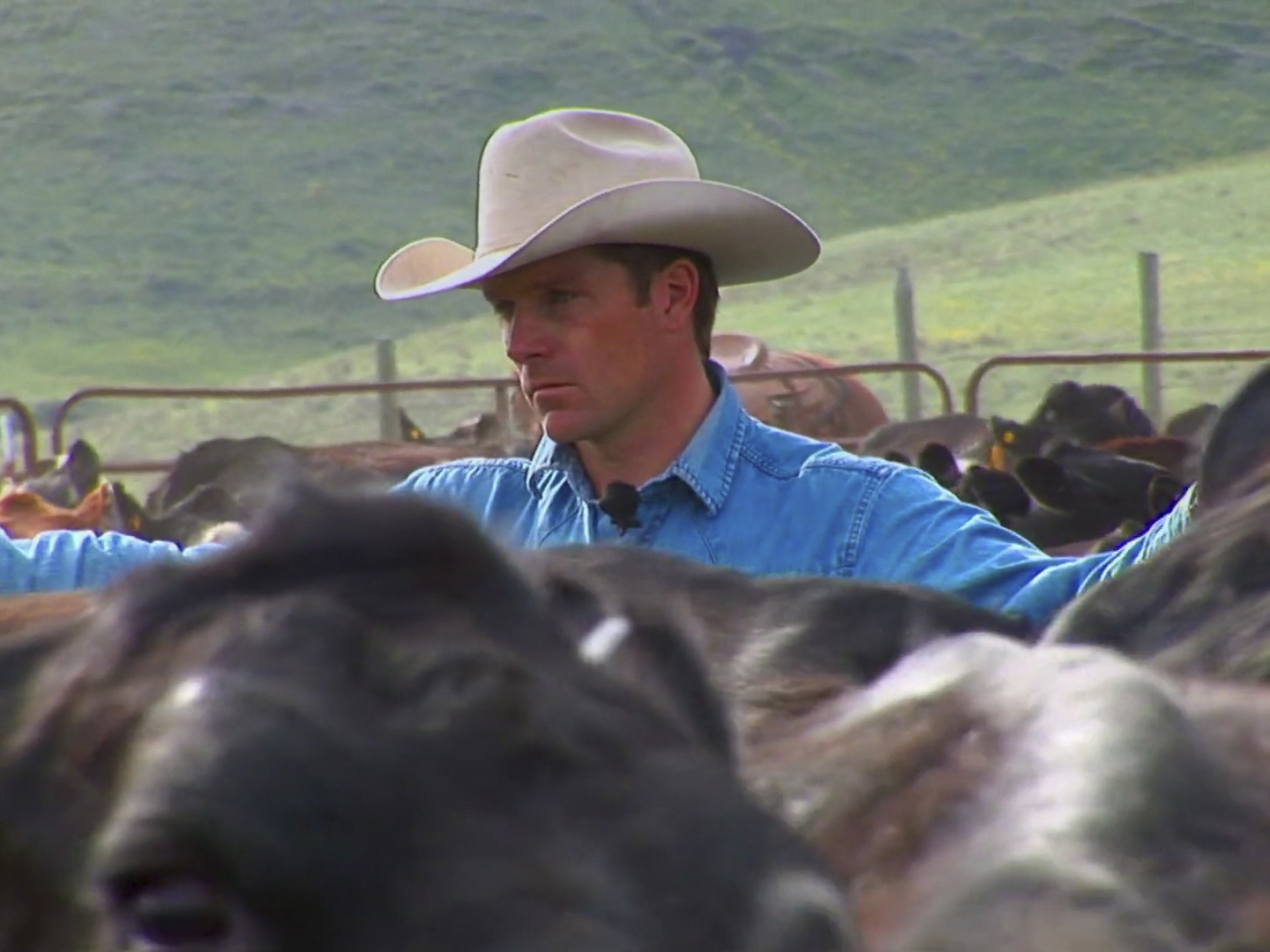 Prime Video: Last American Cowboy - Season 1