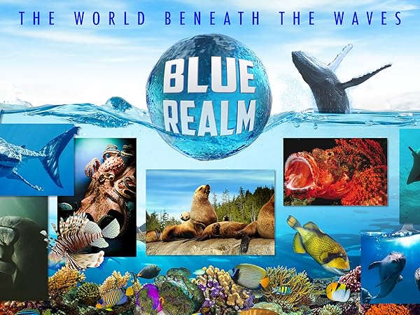 Prime Video: Blue Realm