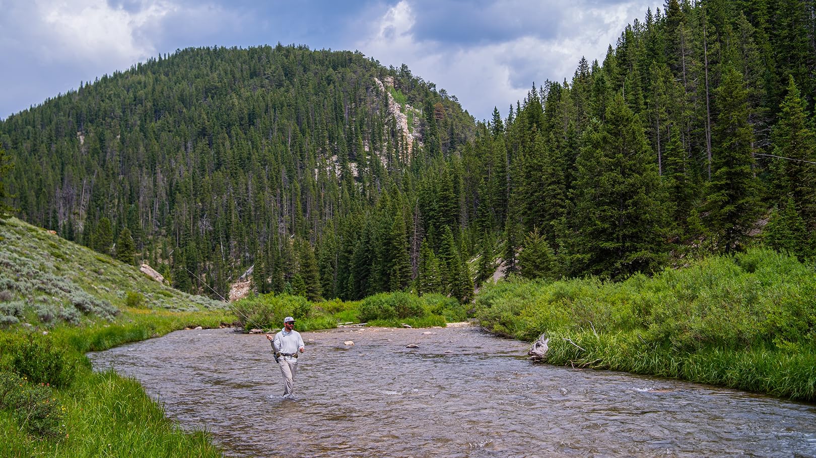 Watch Blood Knot | Prime Video