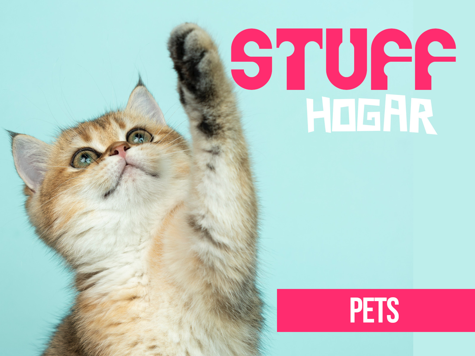 Prime Video: Stuff - Temporada 2