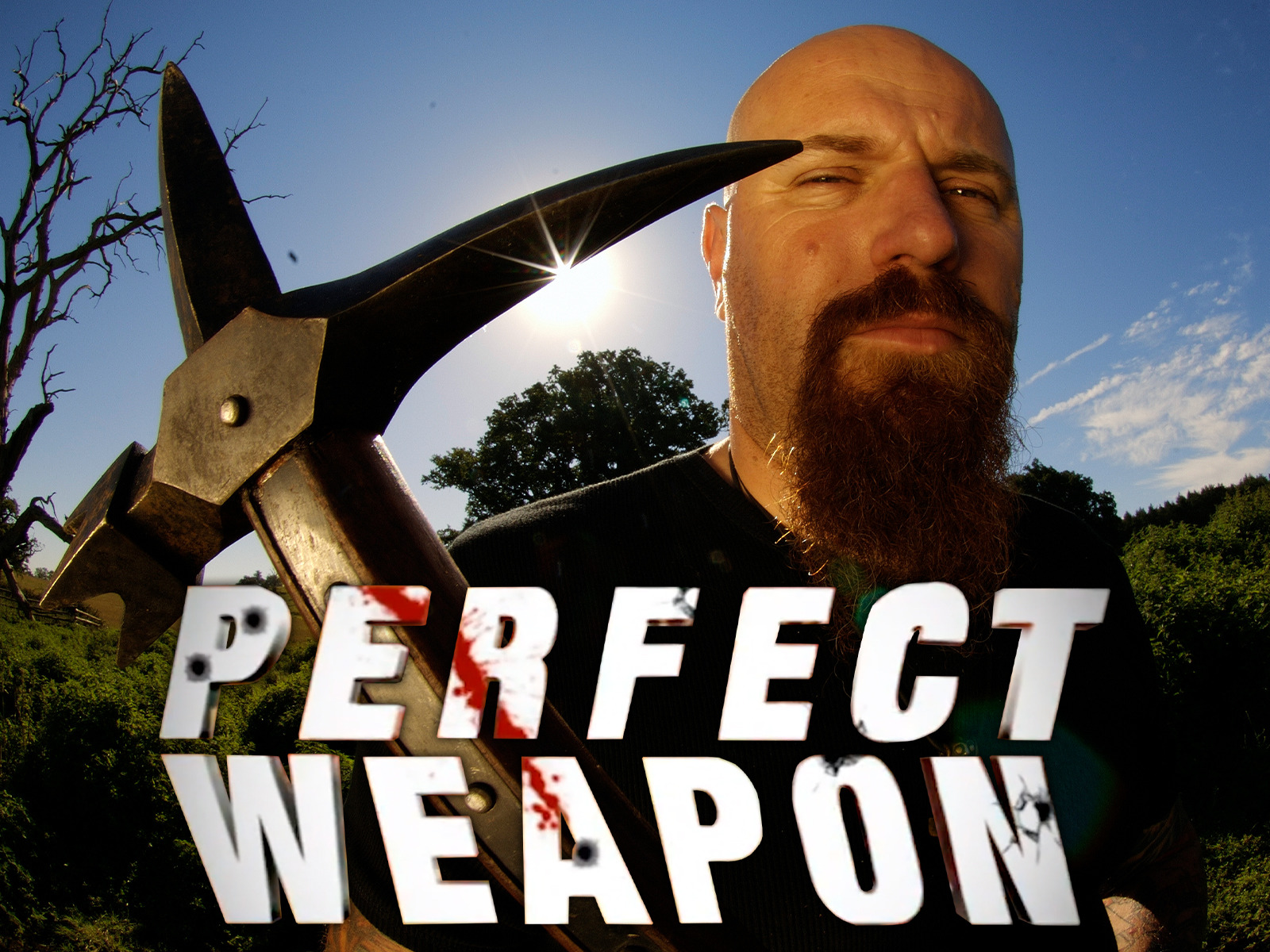 Prime Video: Perfect Weapon
