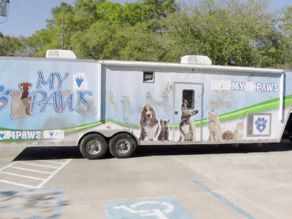 Prime Video: The Vet Life - Season 1