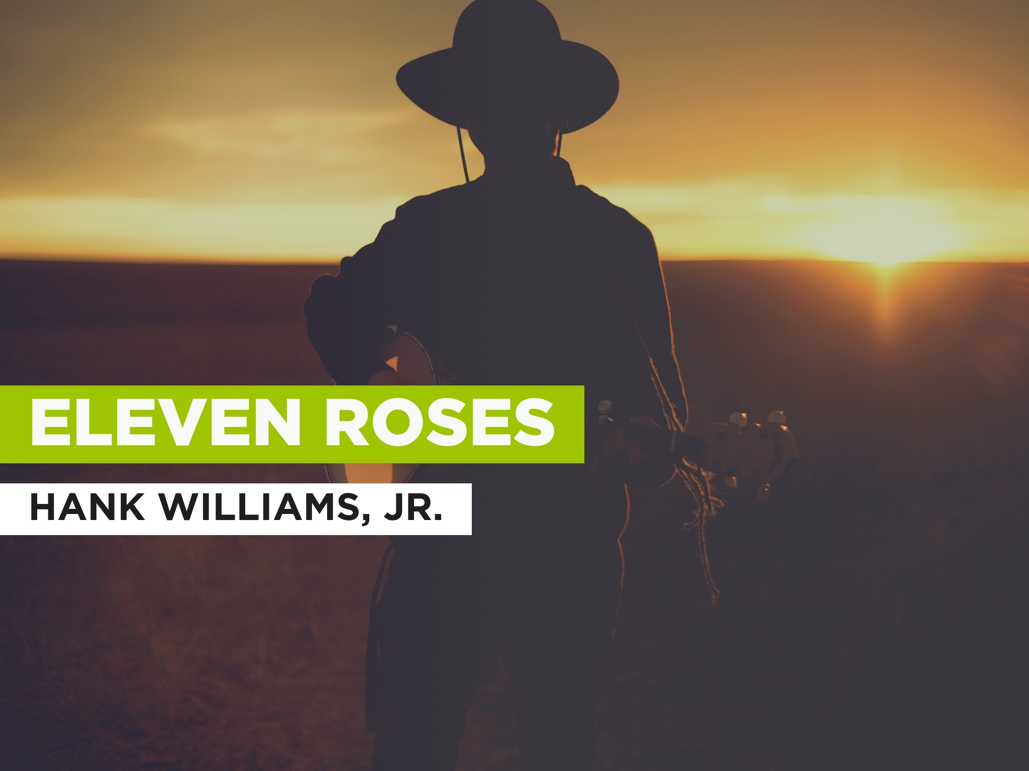 Prime Video: Eleven Roses in the Style of Hank Williams, Jr.