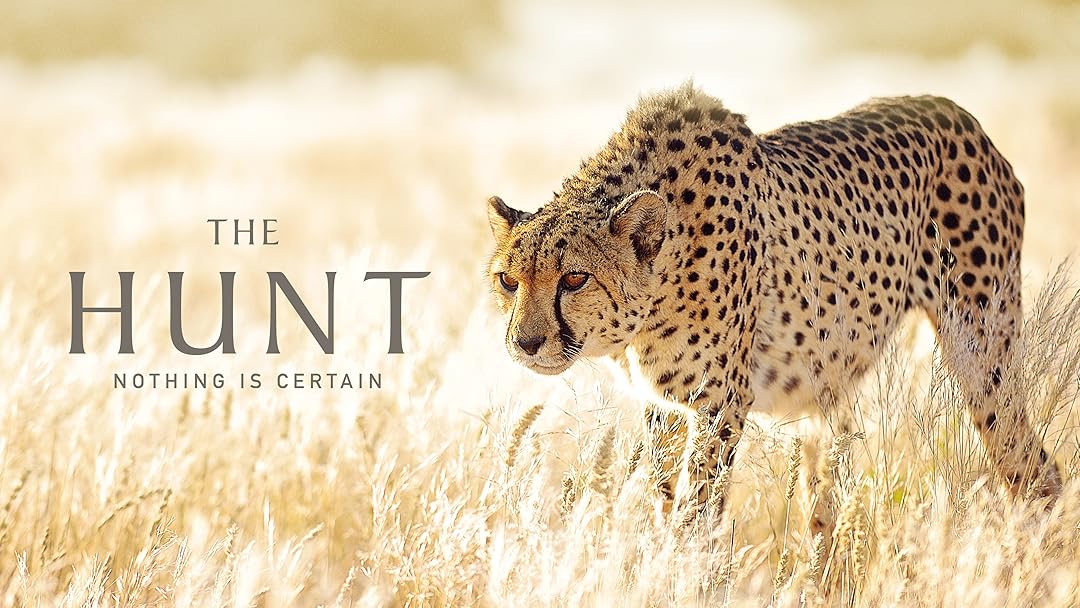 Prime Video: The Hunt