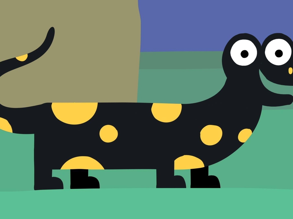 Prime Video: Animanimals - Season 1