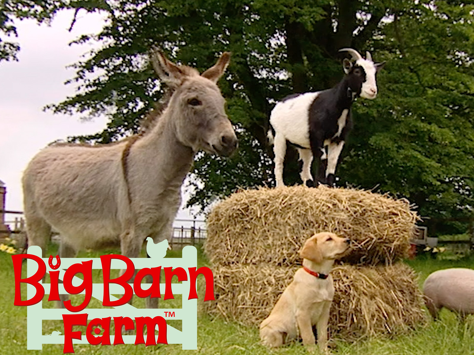 Prime Video: Big Barn Farm