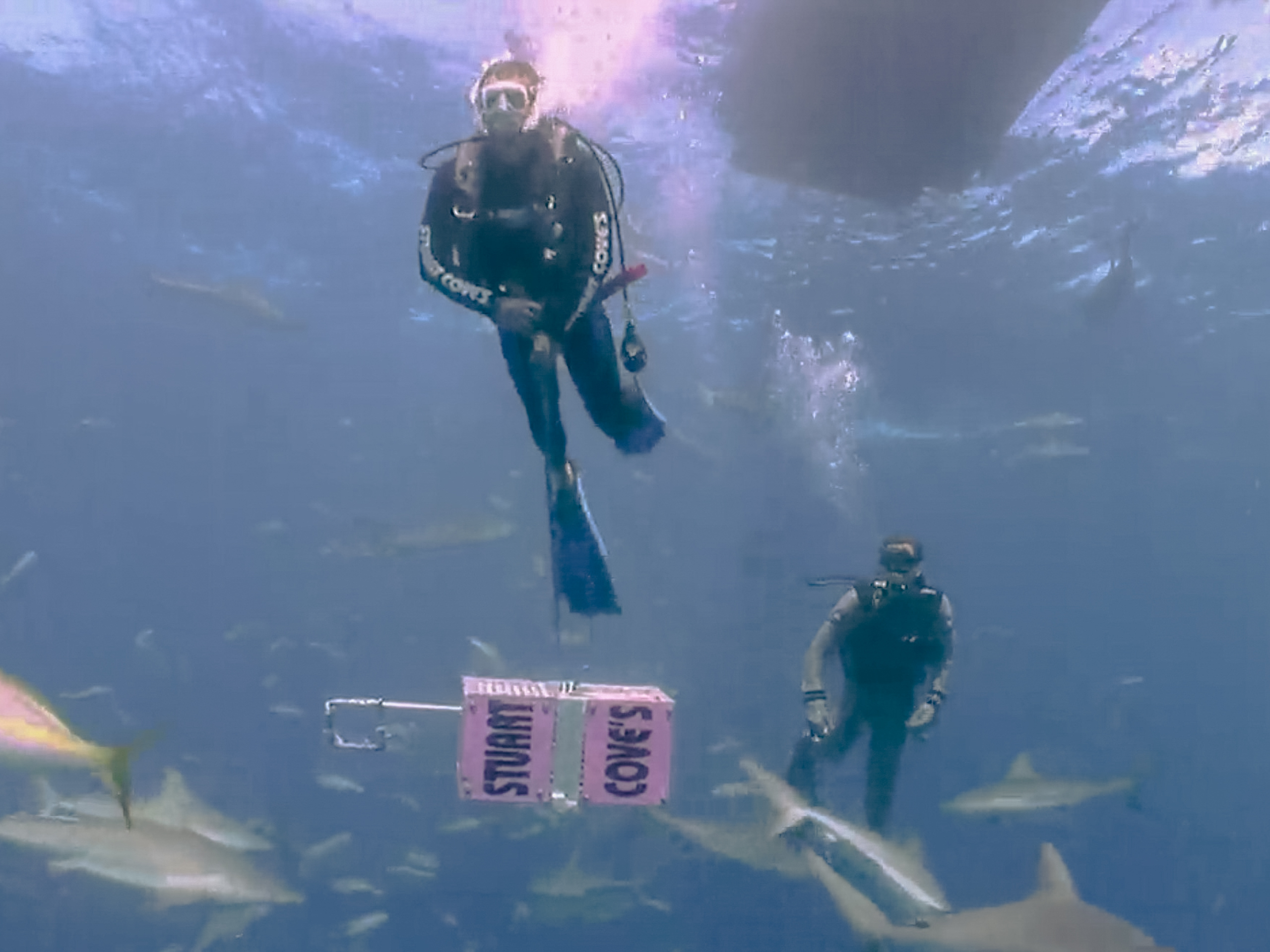 Prime Video: Shark Week - Season 2019