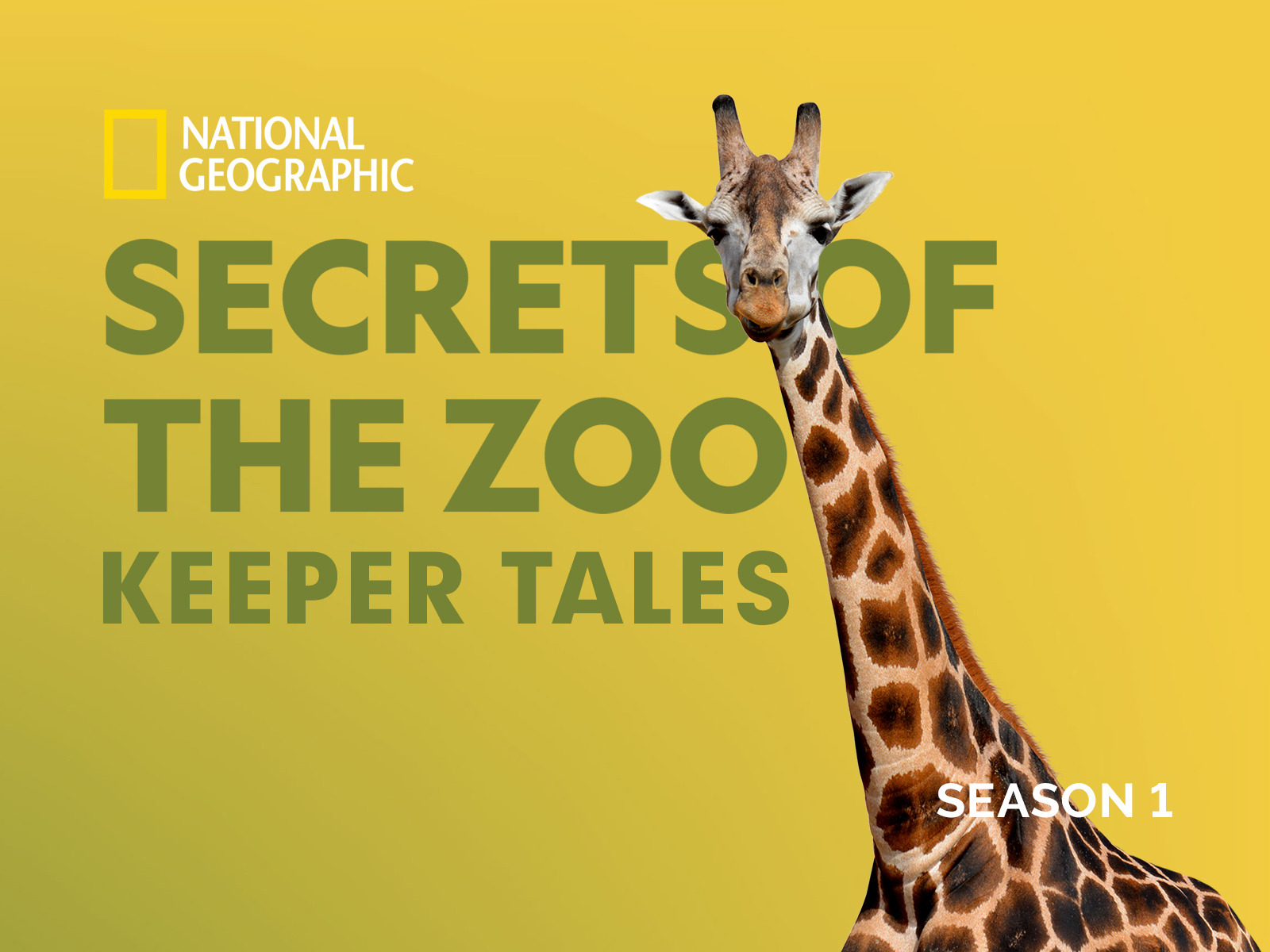 Prime Video: Secrets of the Zoo: Keeper Tales - Season 1