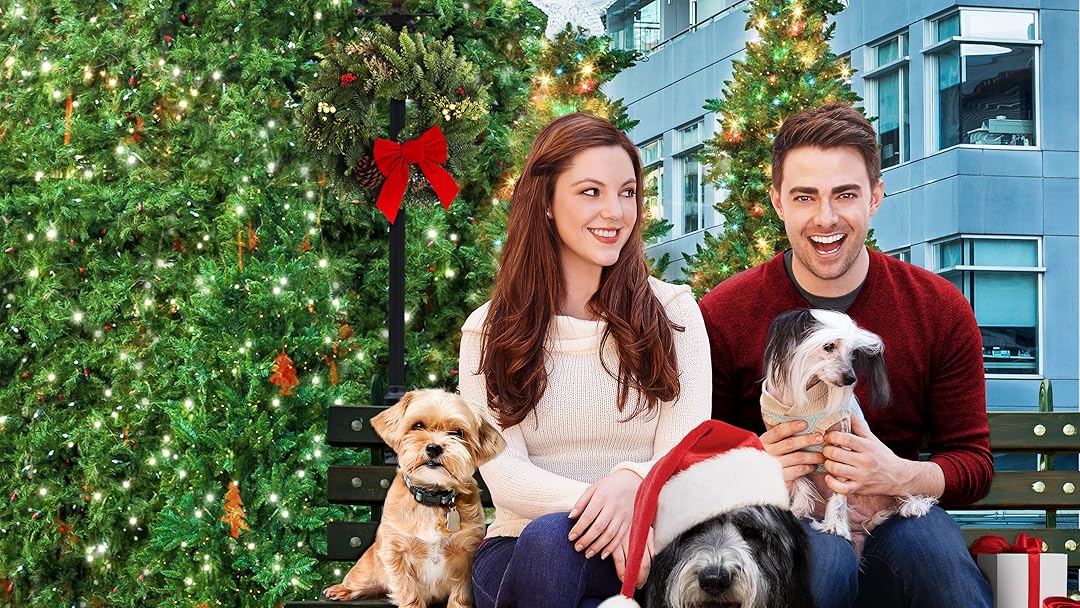 Prime Video: A Dogwalker's Christmas Tale - Season 1