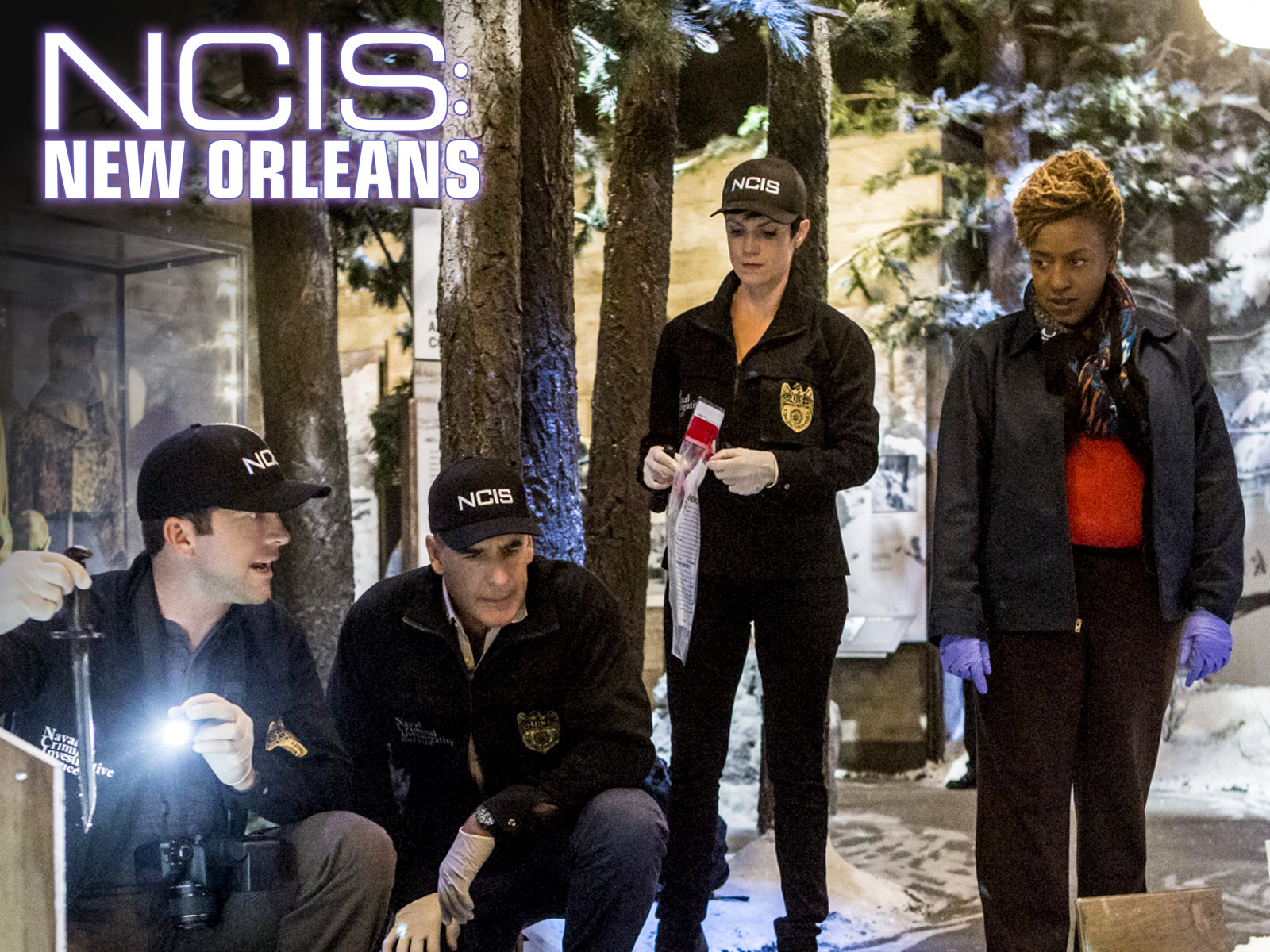 Ncis Snow