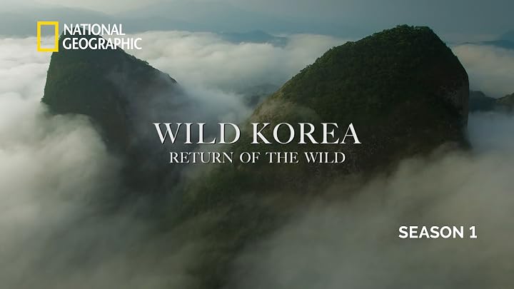 Prime Video: Wild Korea - Season 1