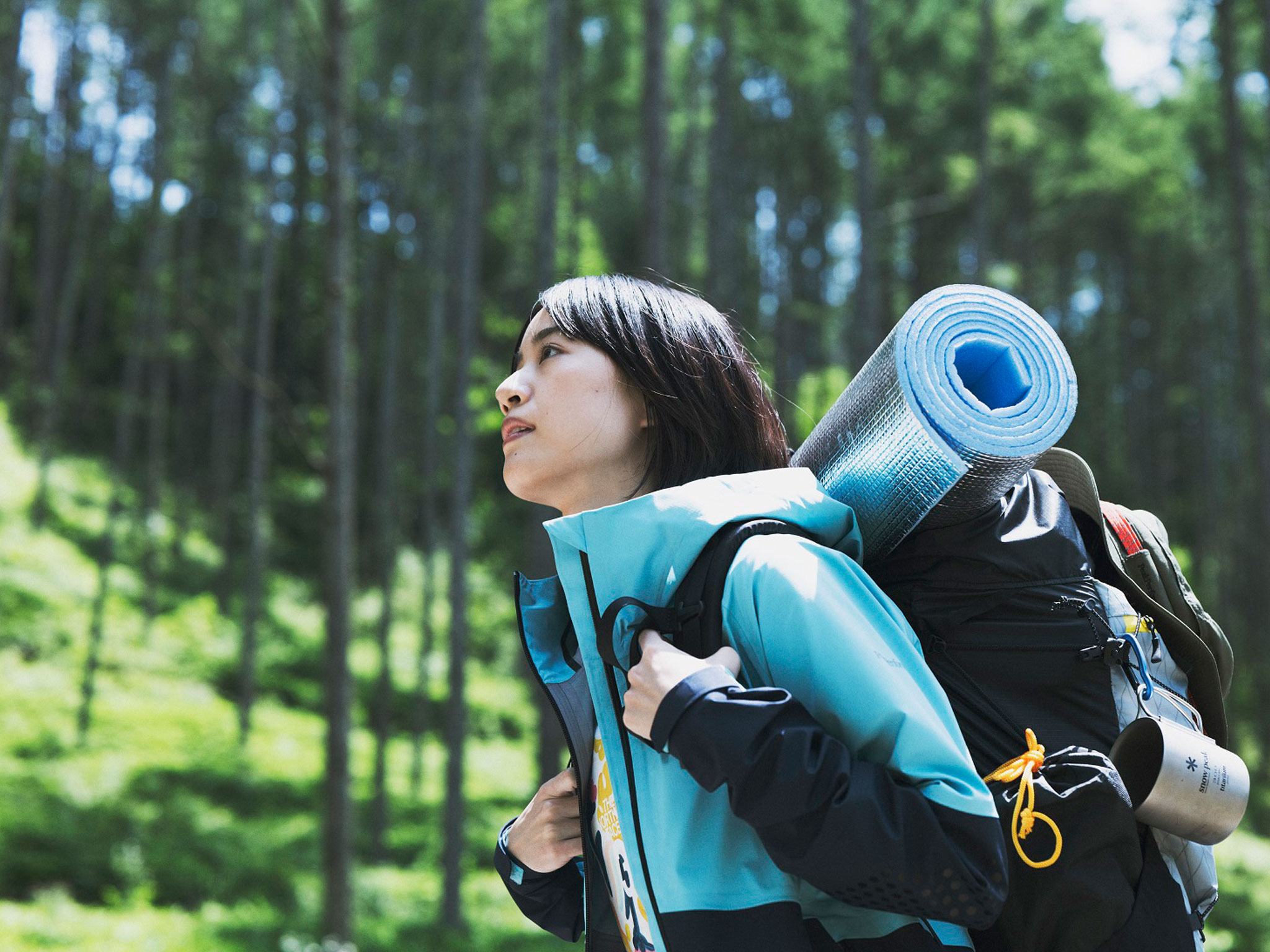 Prime Video: Pension Metsa