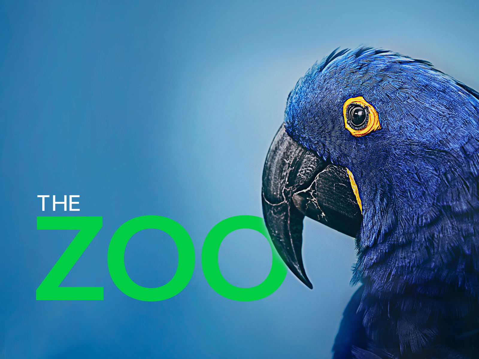 Prime Video: The Zoo - Season 2