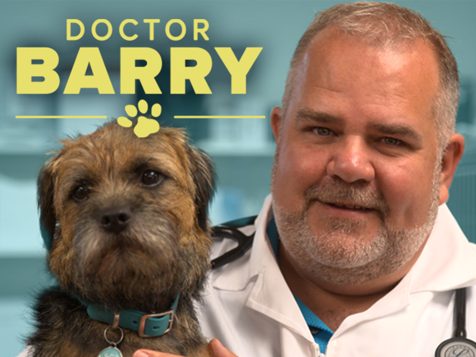 Prime Video: Dr. Barry, Season 1