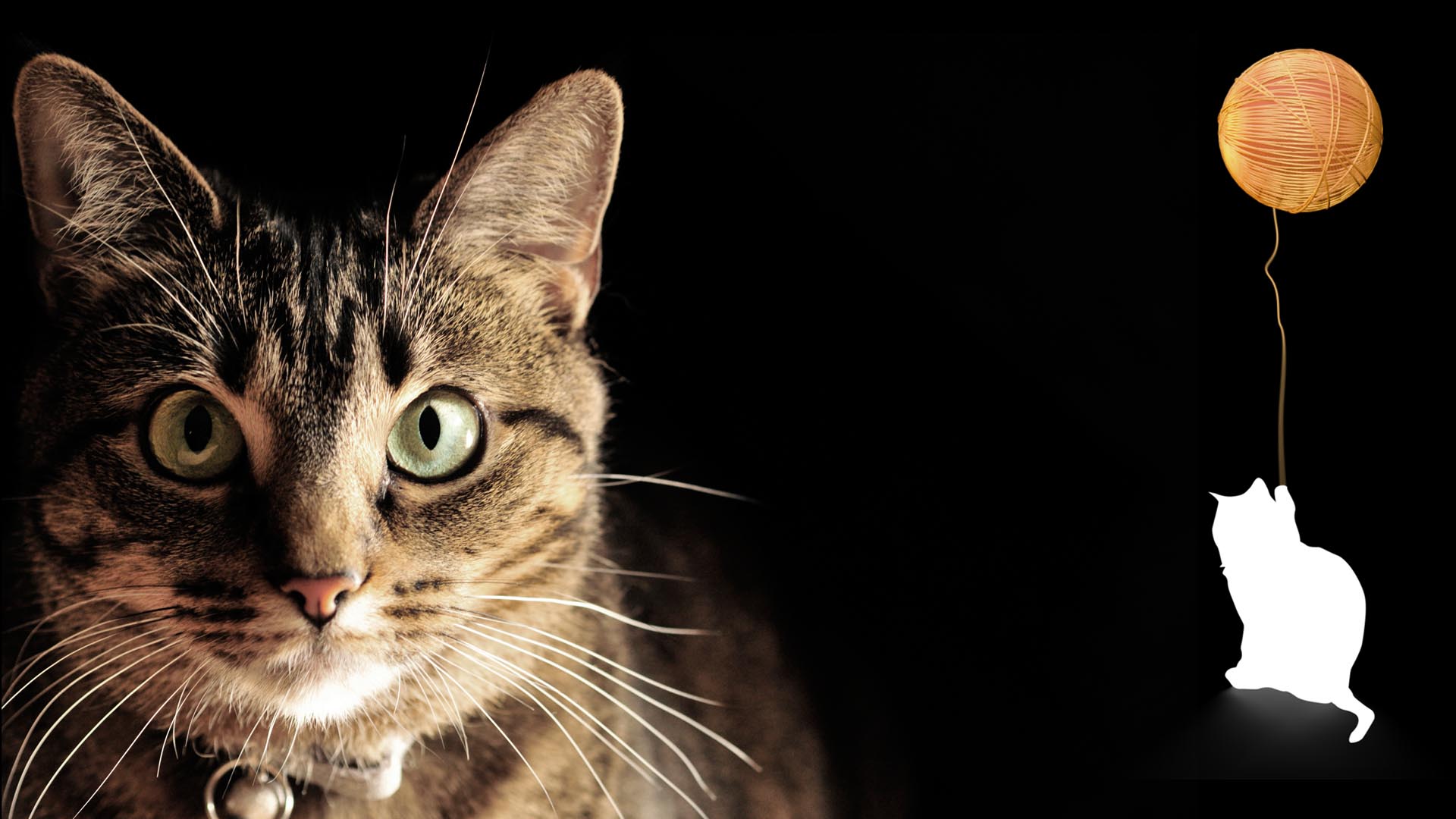 Watch Psycho Kitty | Prime Video