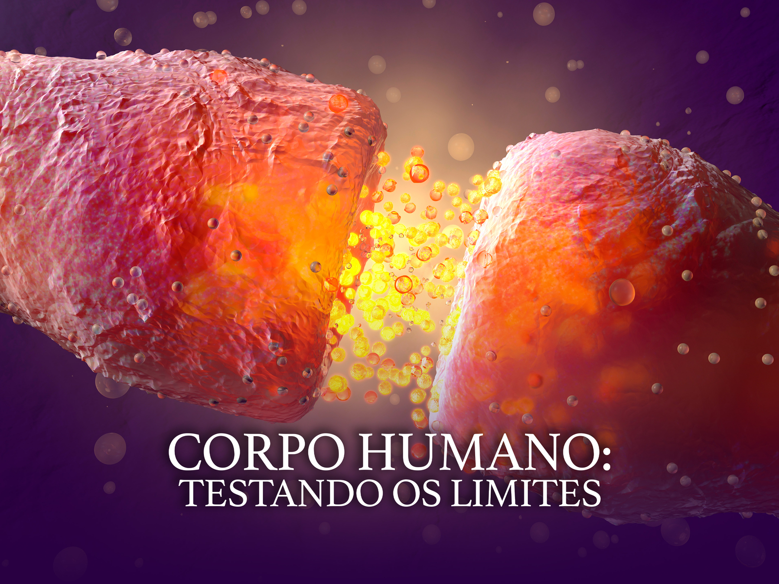 Prime Video Human Body Pushing The Limits Season 1 Prime Video Human Body Pushing The Limits Season 1