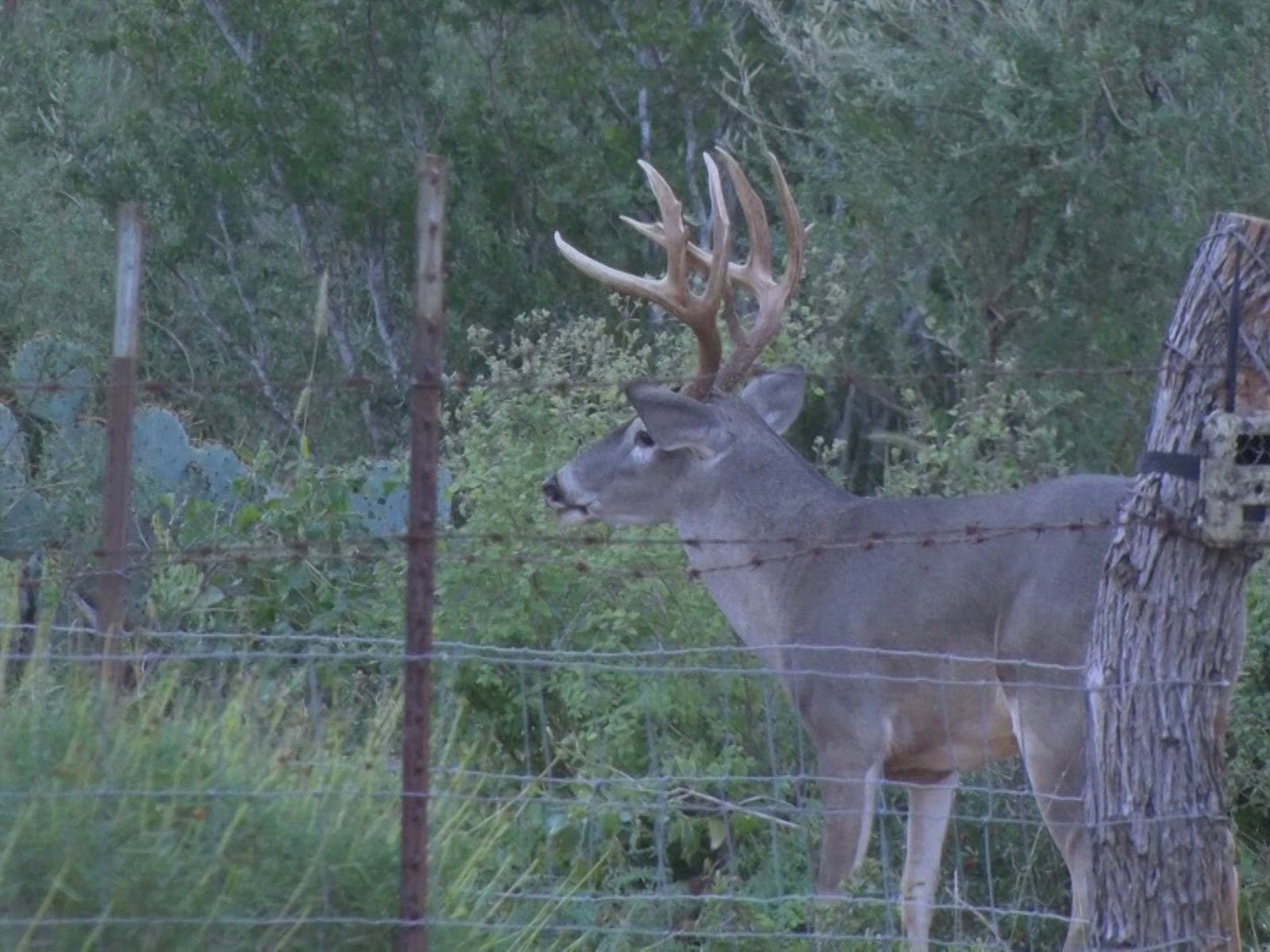 Prime Video: Roger Raglin Outdoors - Season 20