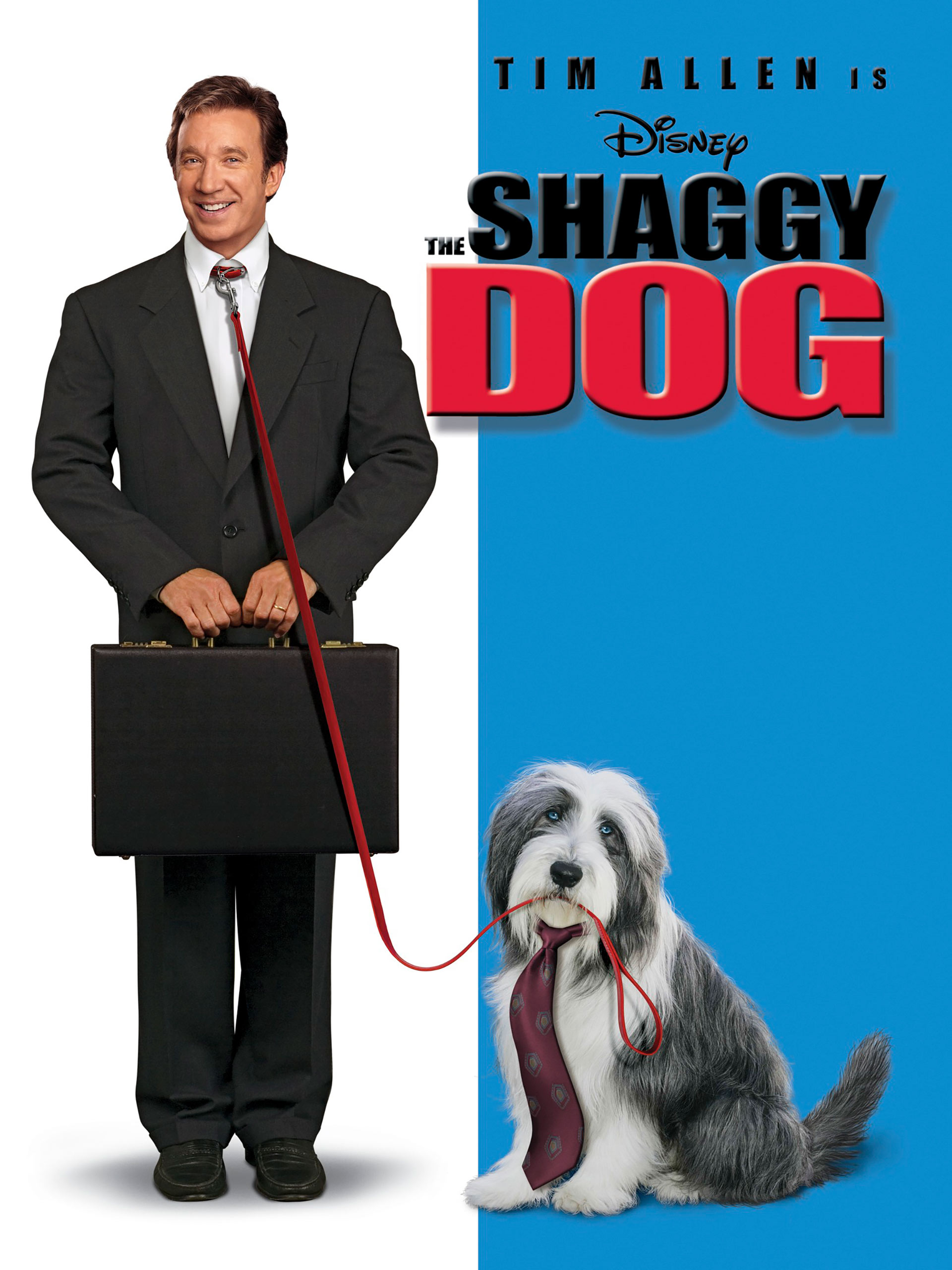 Prime Video: The Shaggy Dog