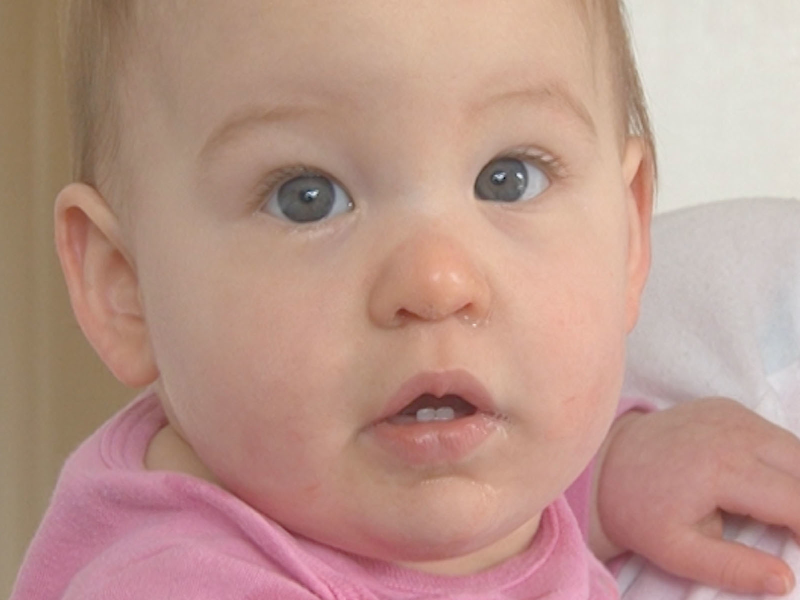 Prime Video: The Babymakers