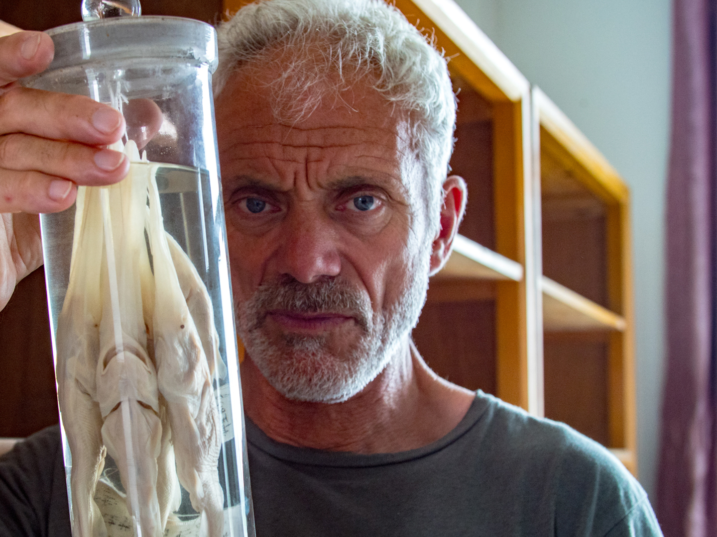 Prime Video: Jeremy Wade's Mighty Rivers - Season 1