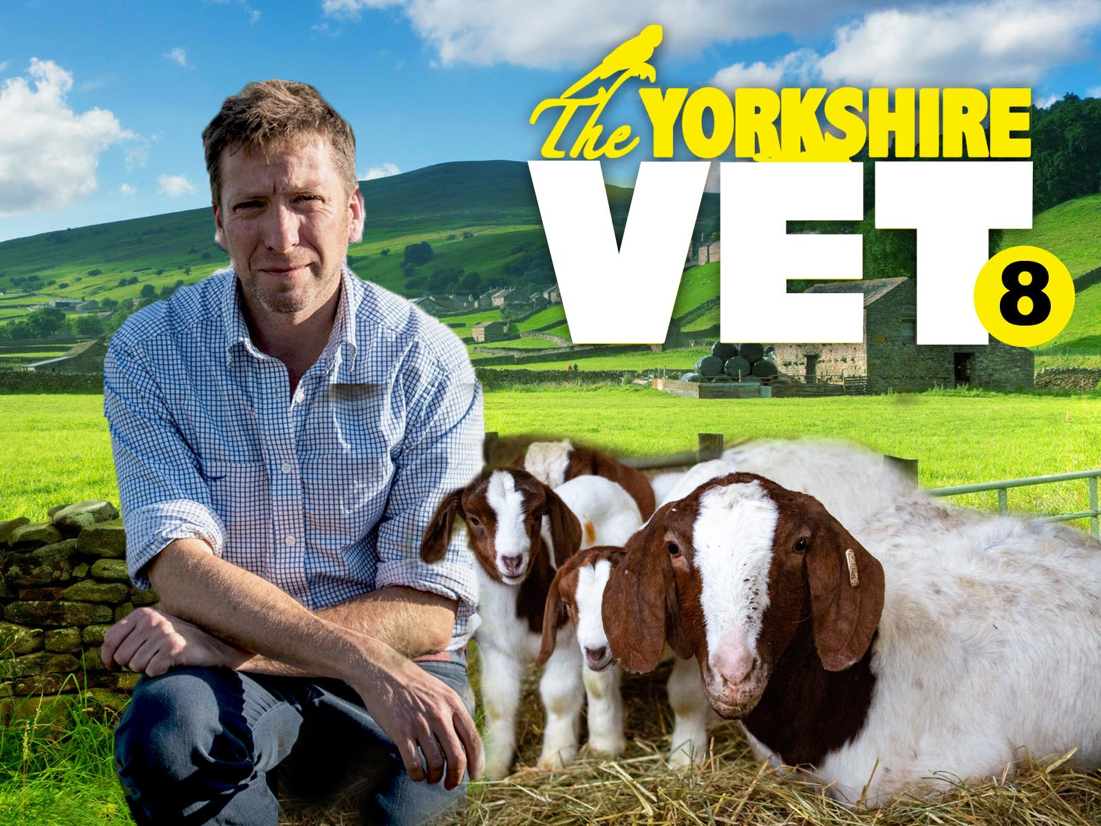 Prime Video: The Yorkshire Vet